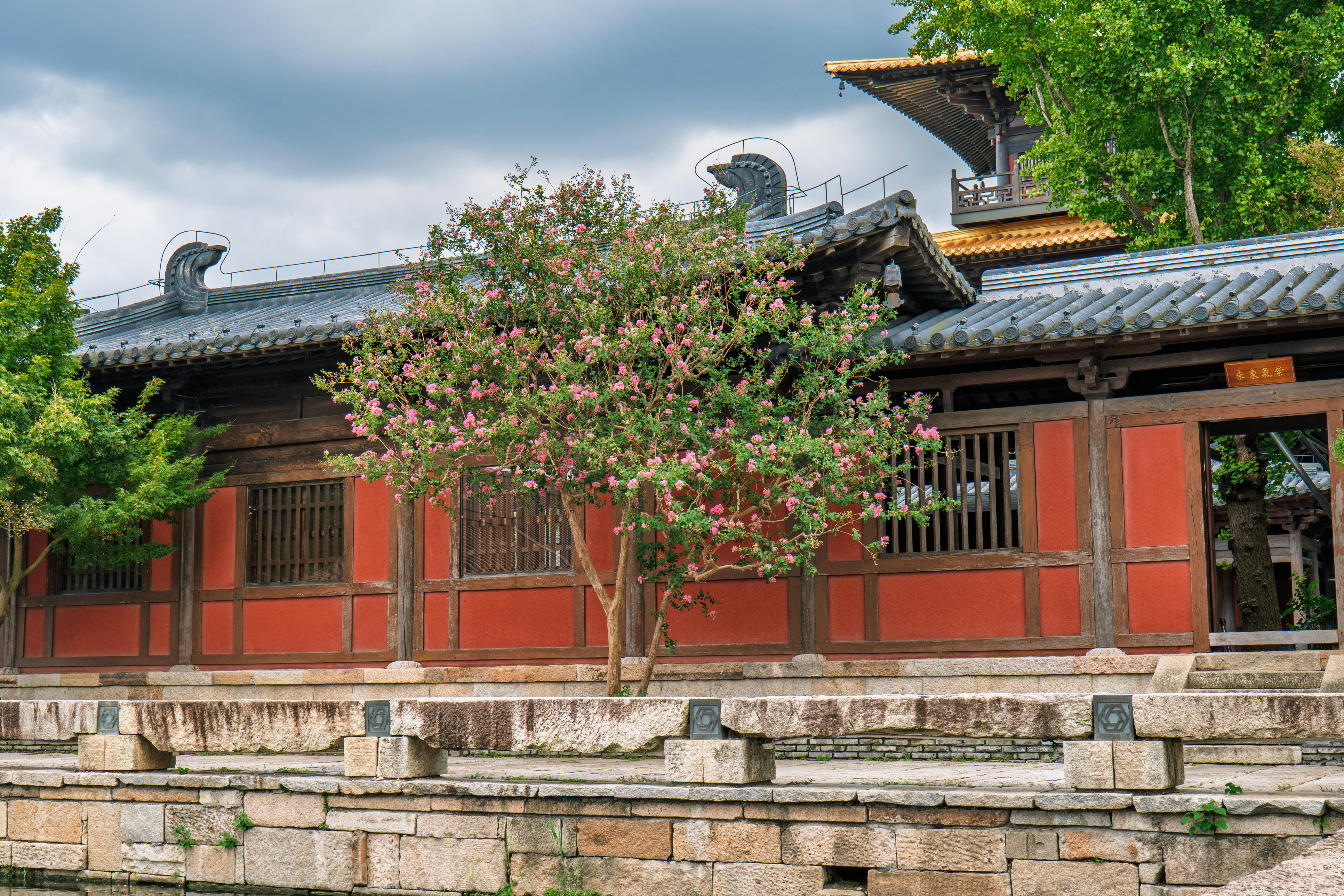 Blossom Tree in Front of Red-Walled Temple