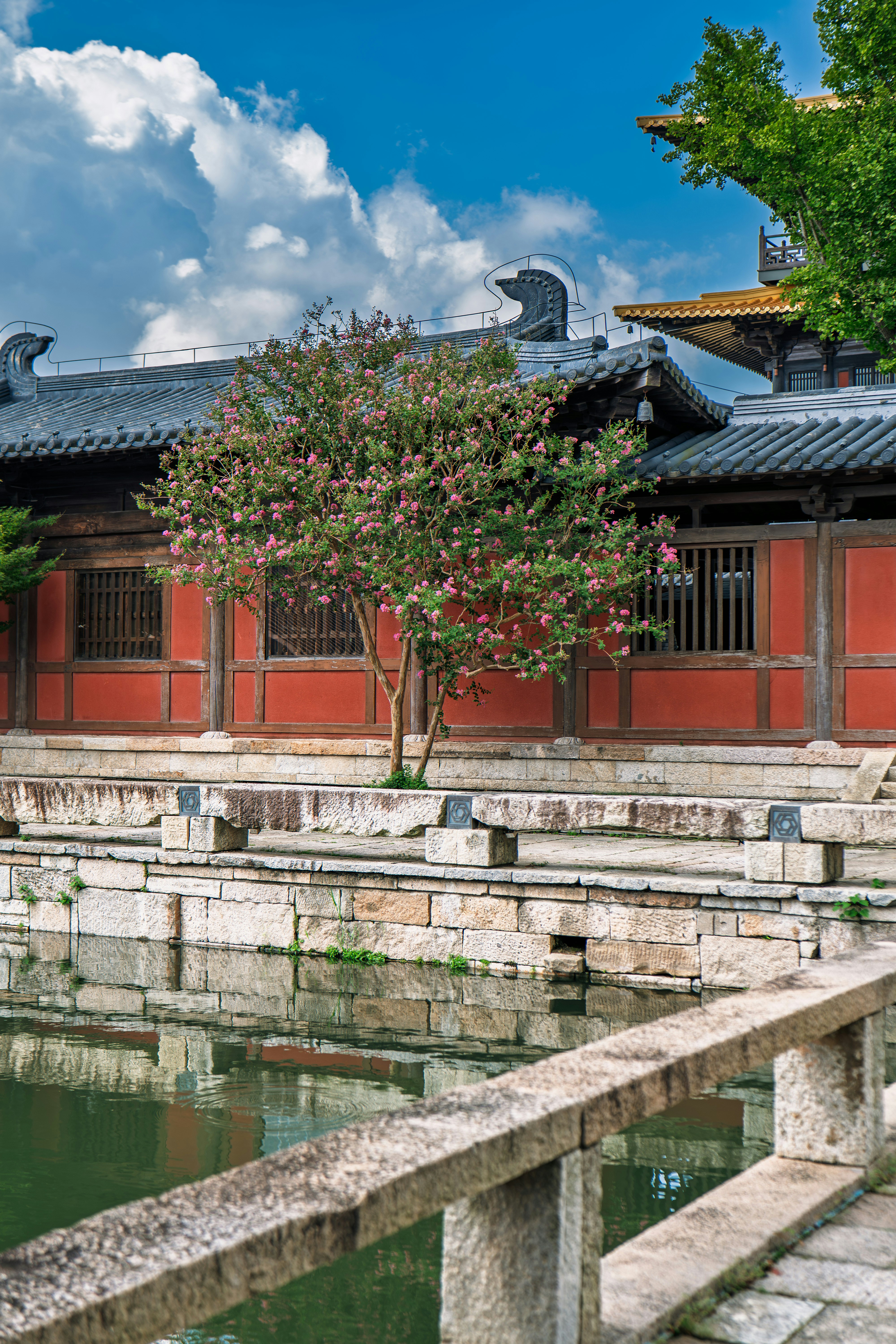 Blossoms Against Red Wall: Tranquil Temple Courtyard