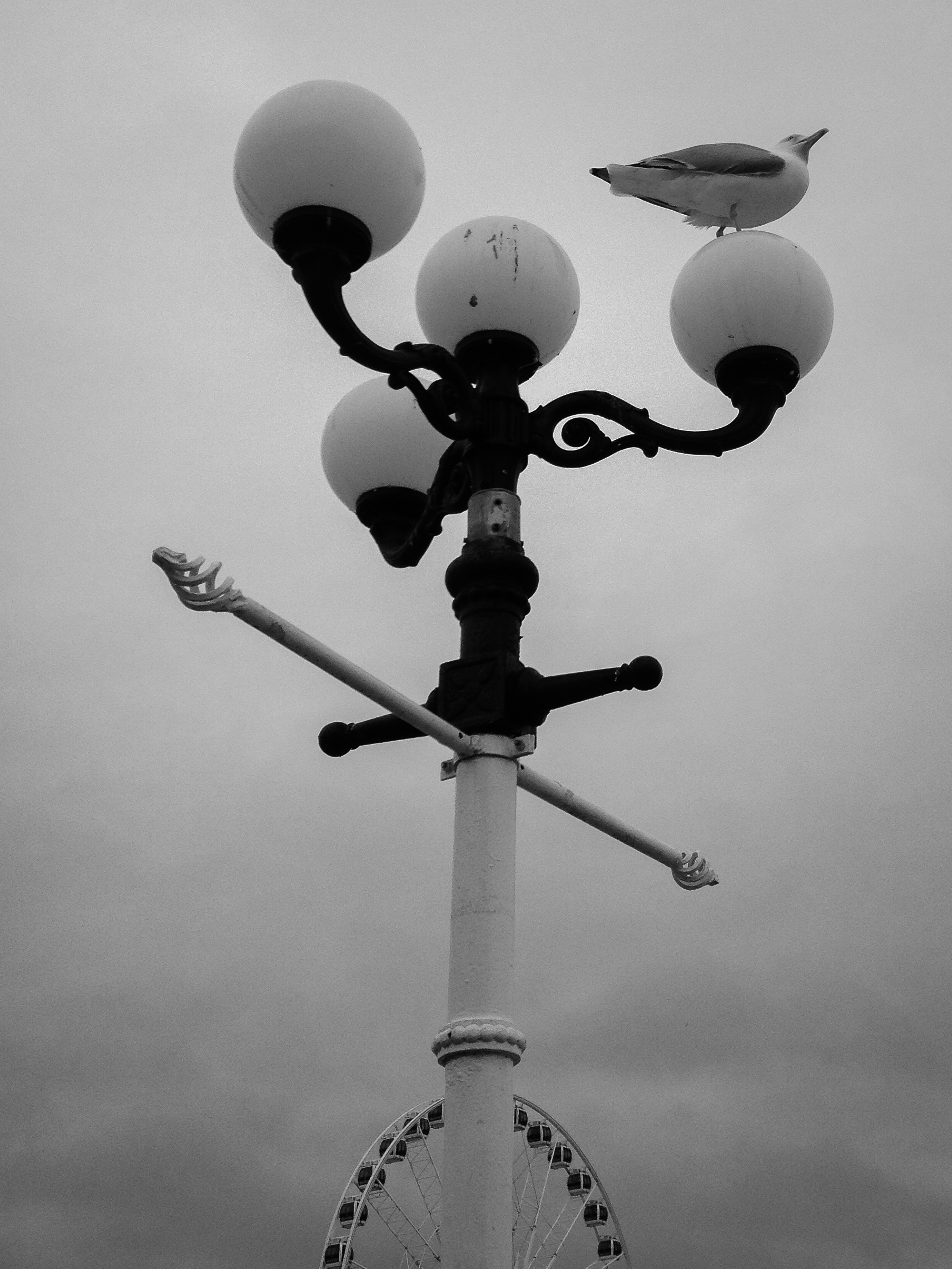 Photo by Dante Candal with Apple iPhone 4s