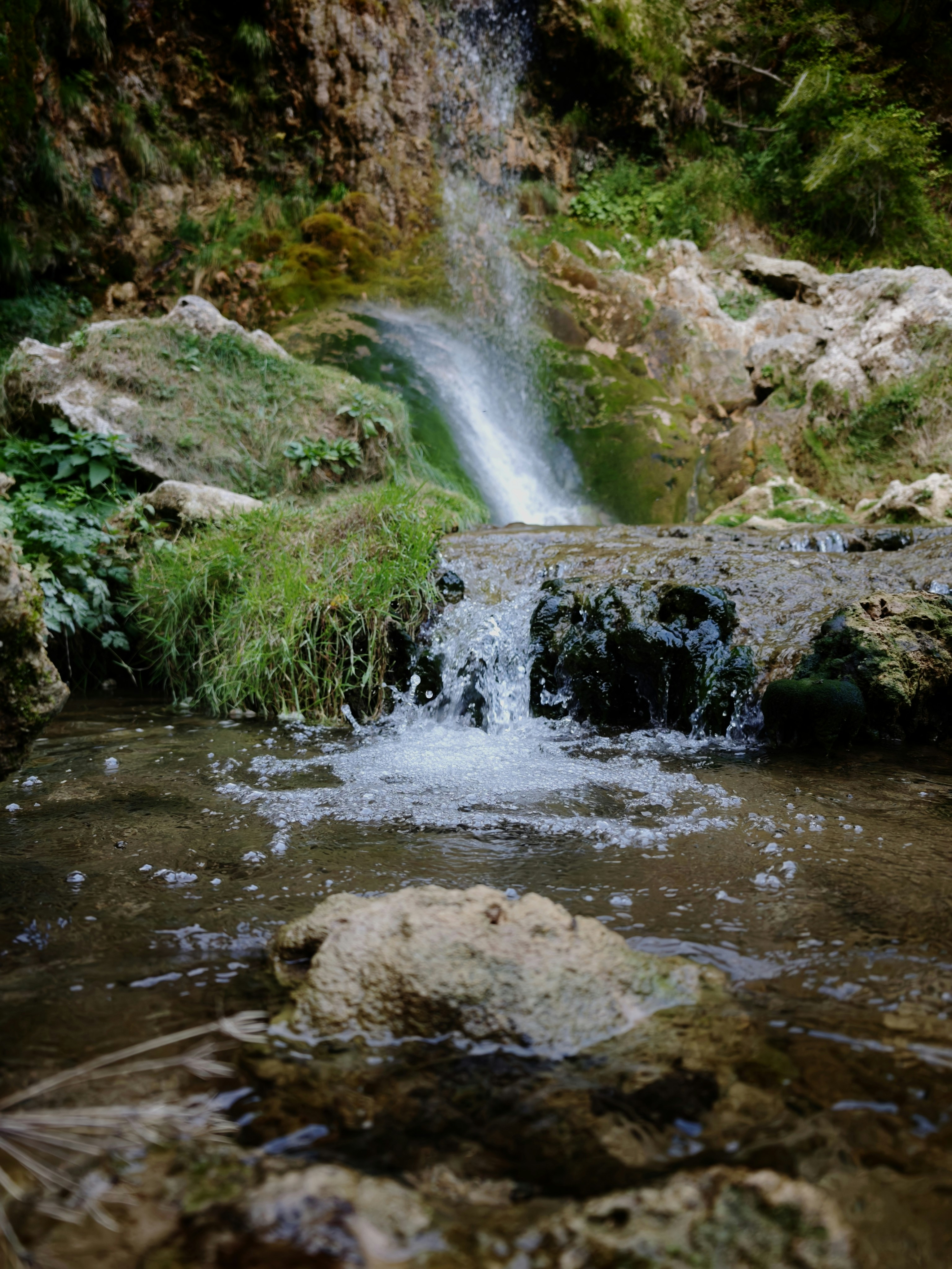 Mossy Falls: A Quiet Cascade in Green Rock Hollow