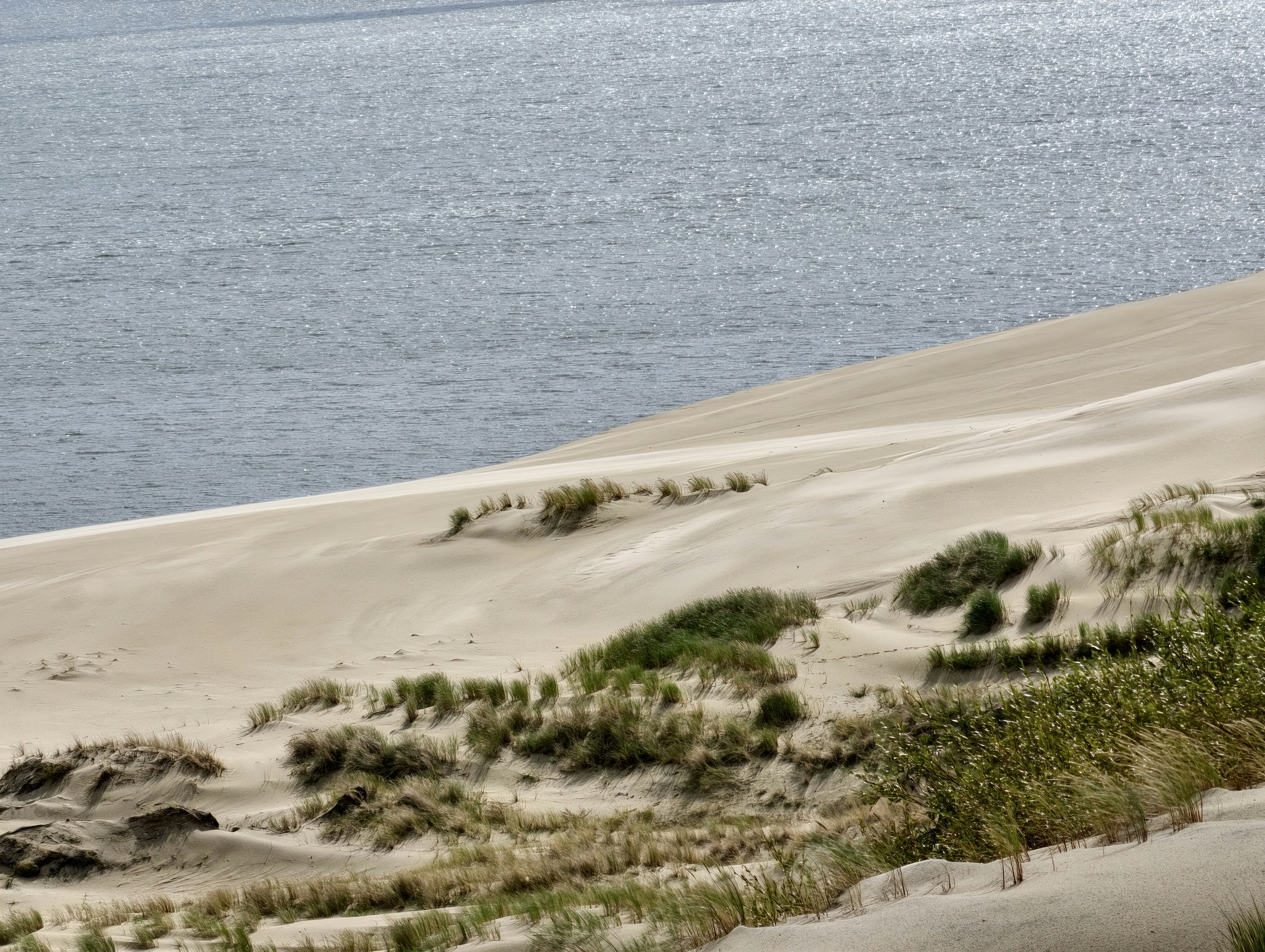 Soft sand dunes roll toward a calm shoreline with sparse coastal grasses and a faint waterline in the background. A serene coastal landscape emphasizing texture and distance.