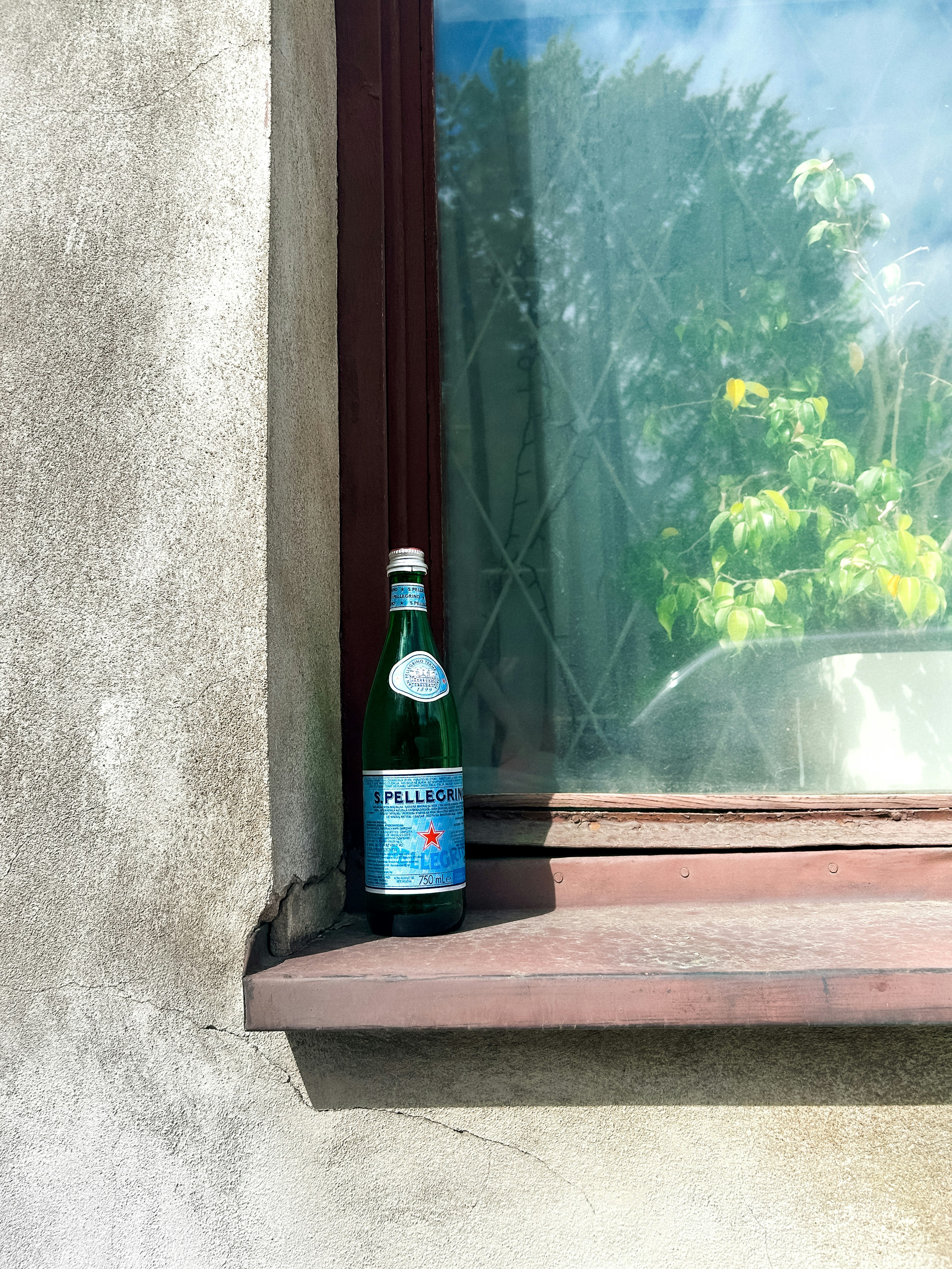 A single green bottle sits on a concrete window sill beside a glass window, catching soft daylight as greenery reflects outside.