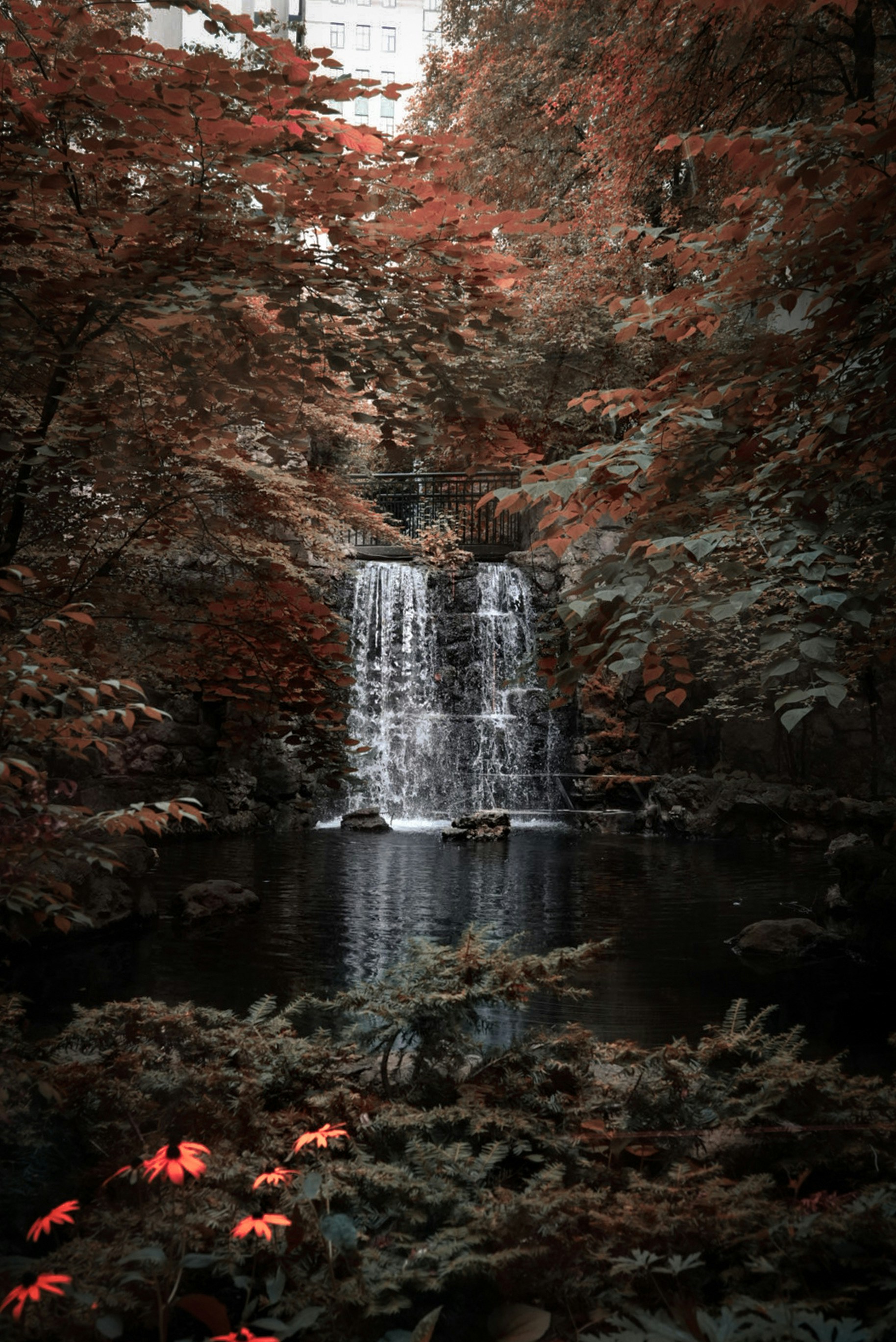 Hidden Waterfall in an Autumn-tinged Urban Reserve
