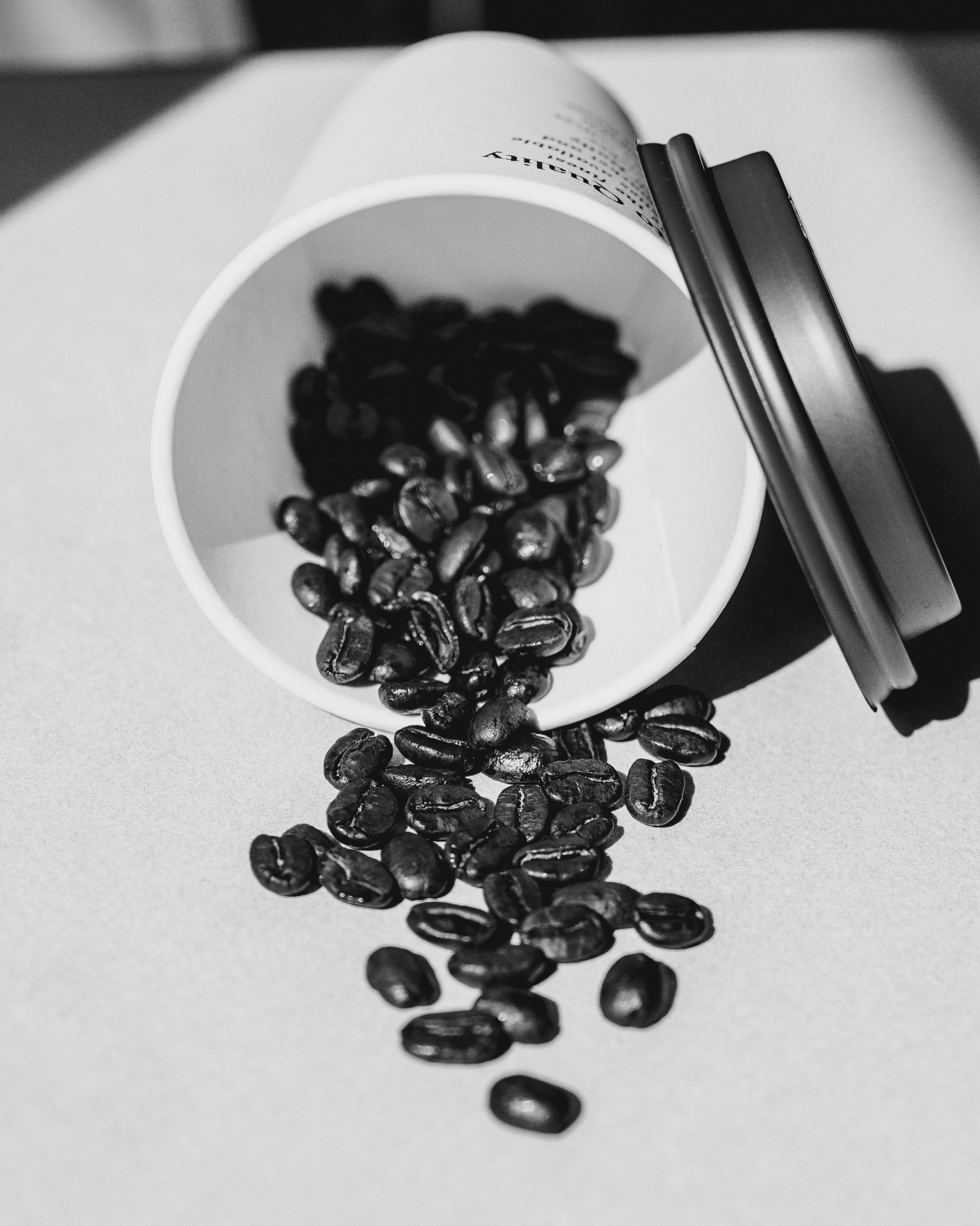 Spilled Grounds: A Pour of Dark Coffee Beans