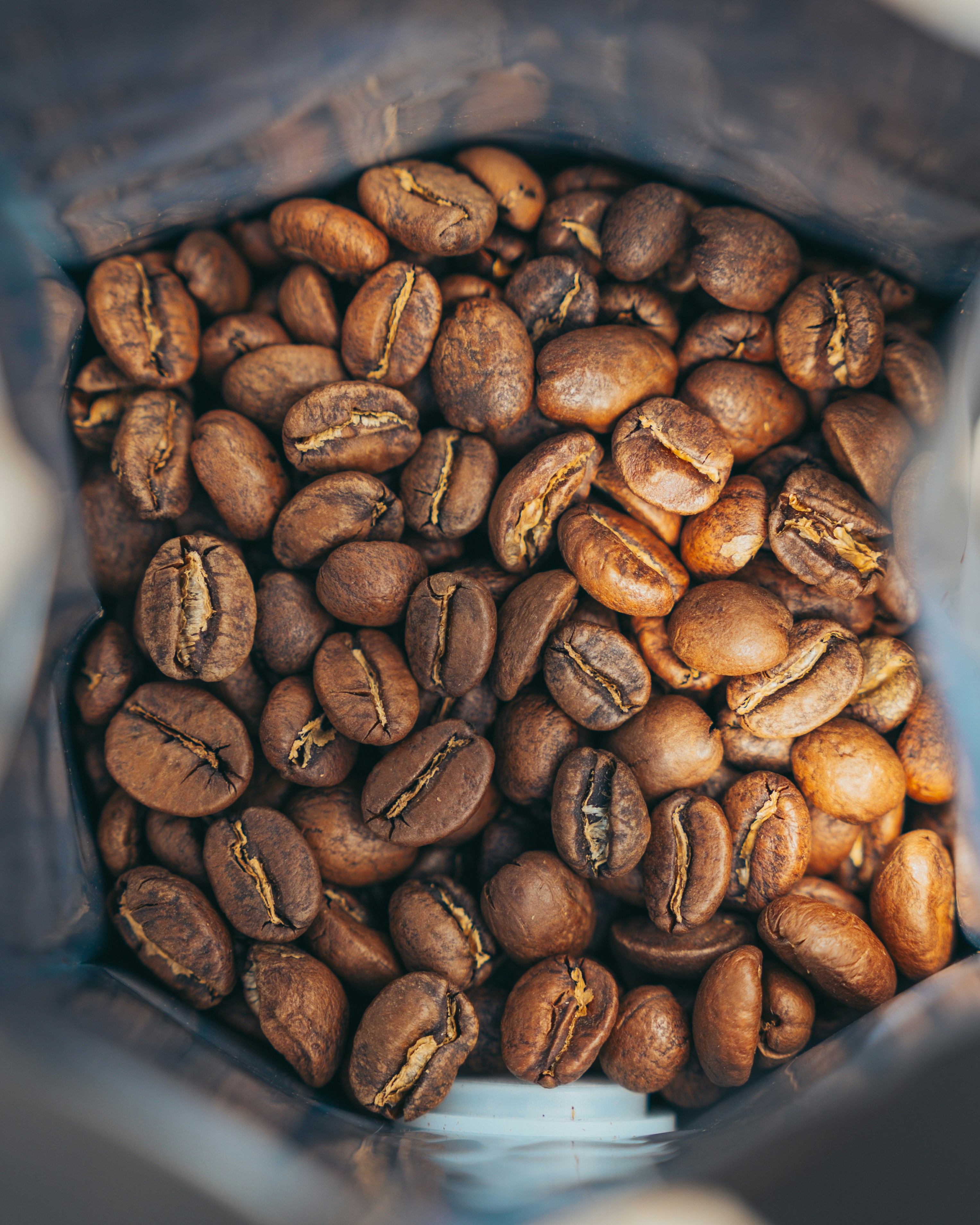 Midday Roast: A Rich Bank of Coffee Beans in a Bag