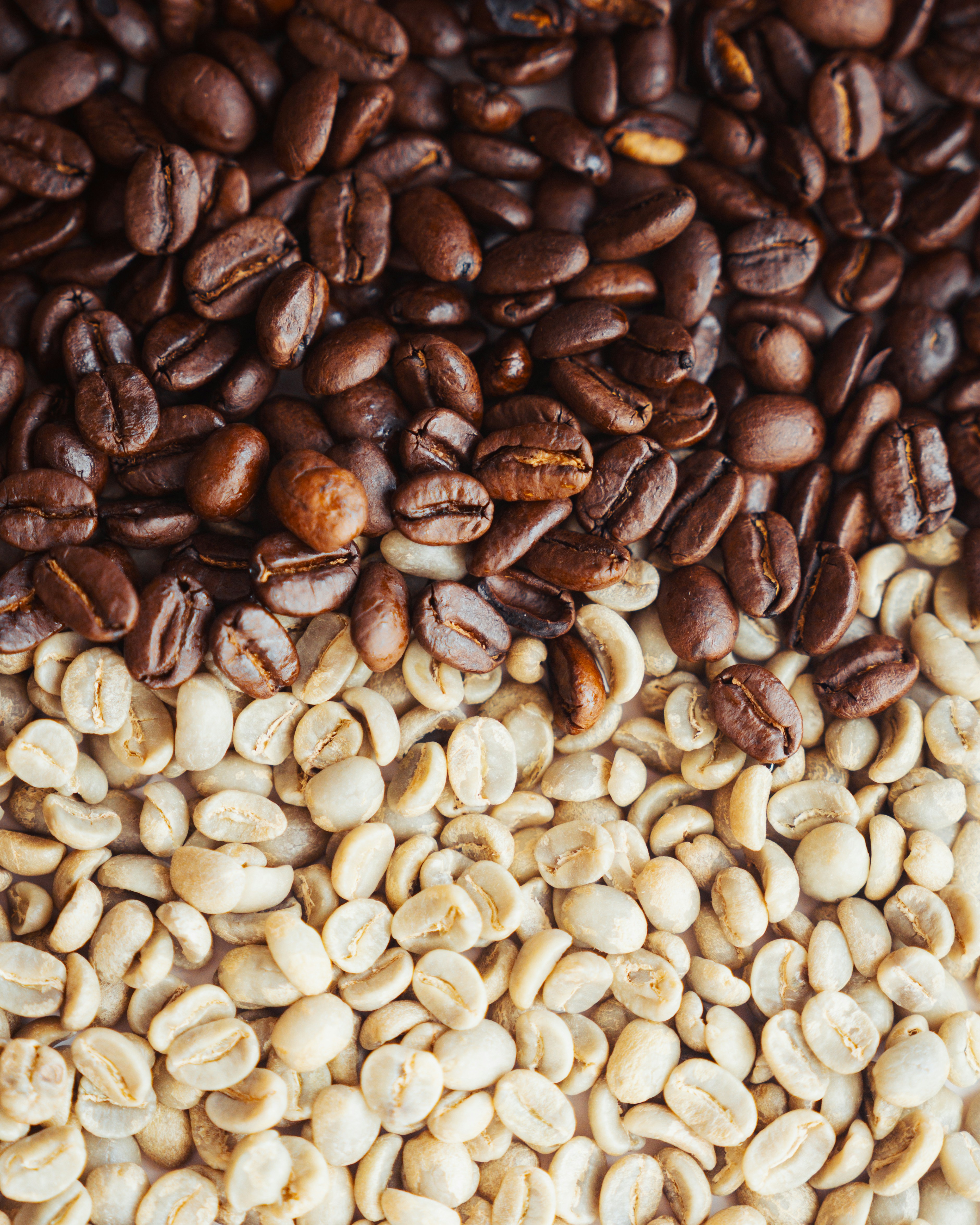 Dual-Tone Roast: A Close-Up of Light and Dark Coffee Beans
