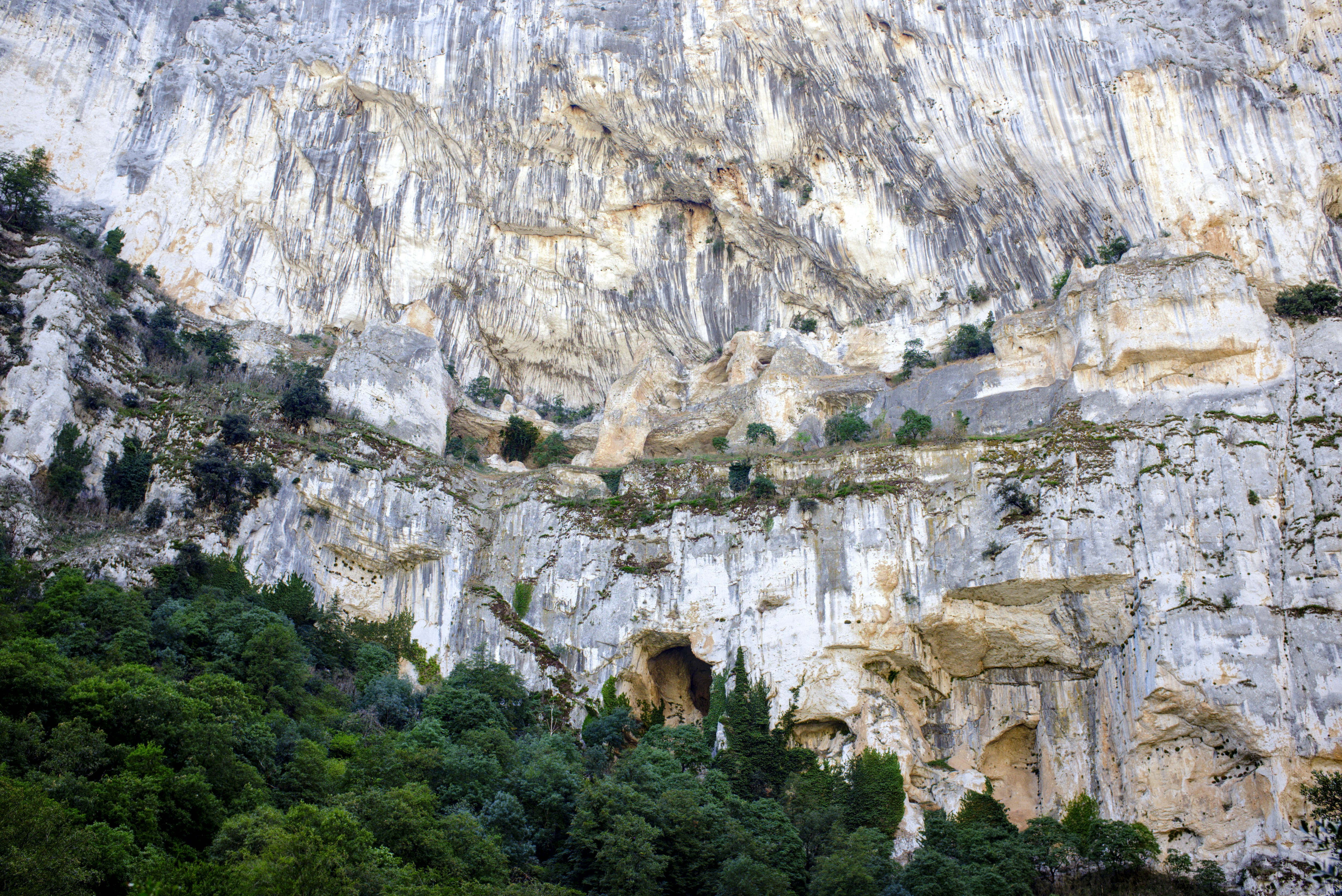 Echoes of the Gorge: A Limestone Face Reveals Hidden Caves