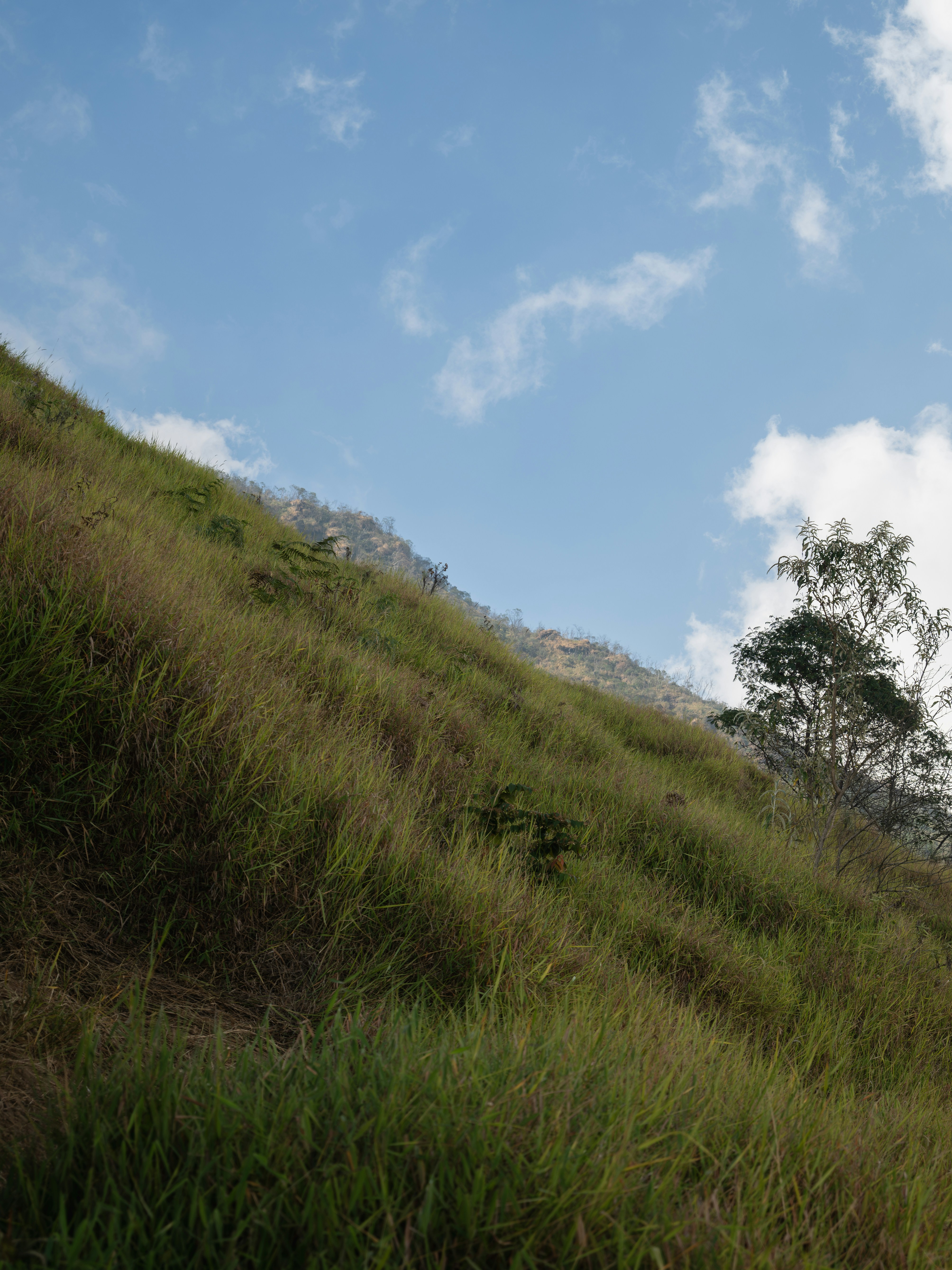 Slope of Grass and Sky: A Quiet hillside under a Clear Afternoon