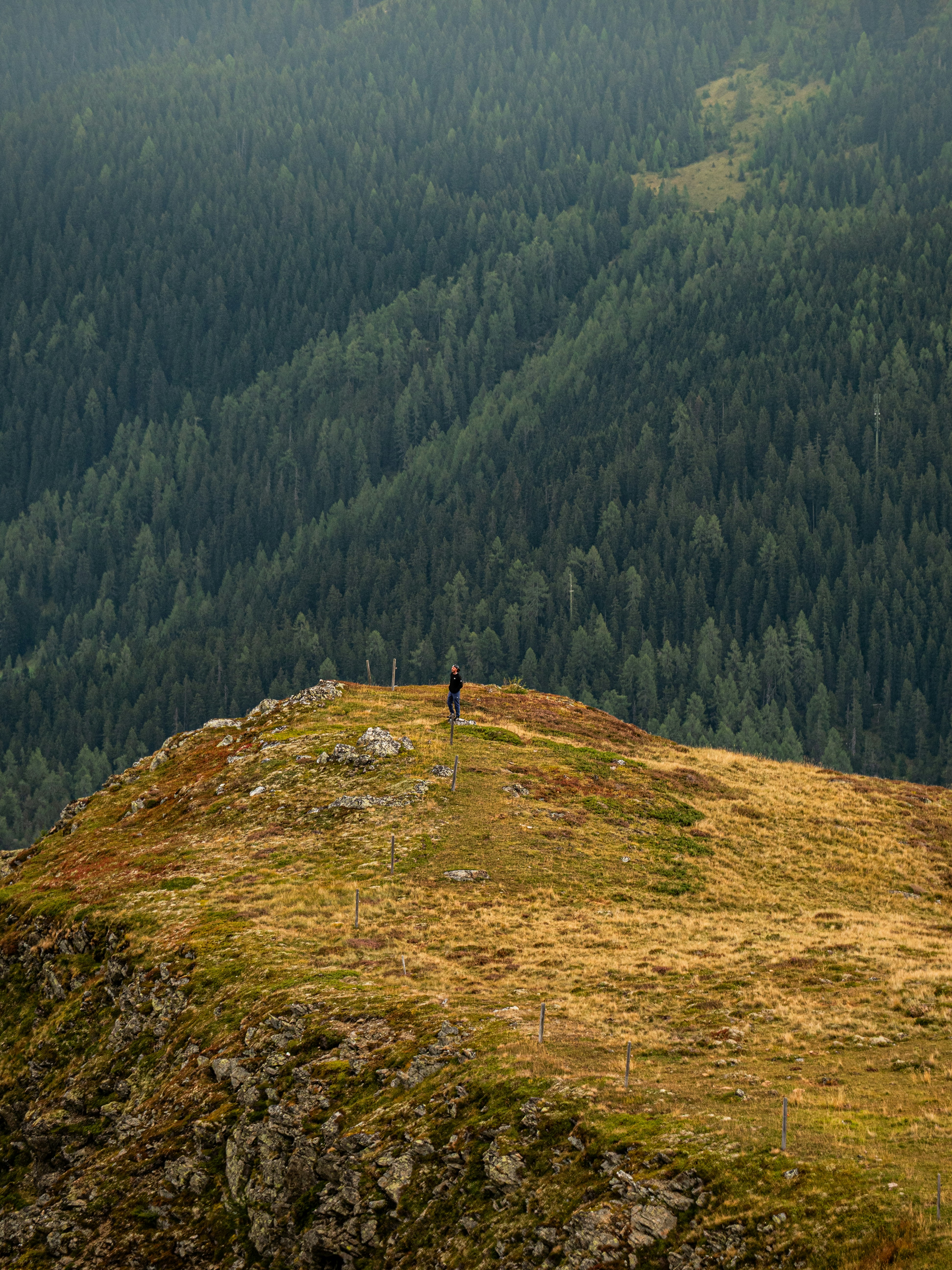 Edge of the World: Lone Hiker on a Ridge Above Silent Pines