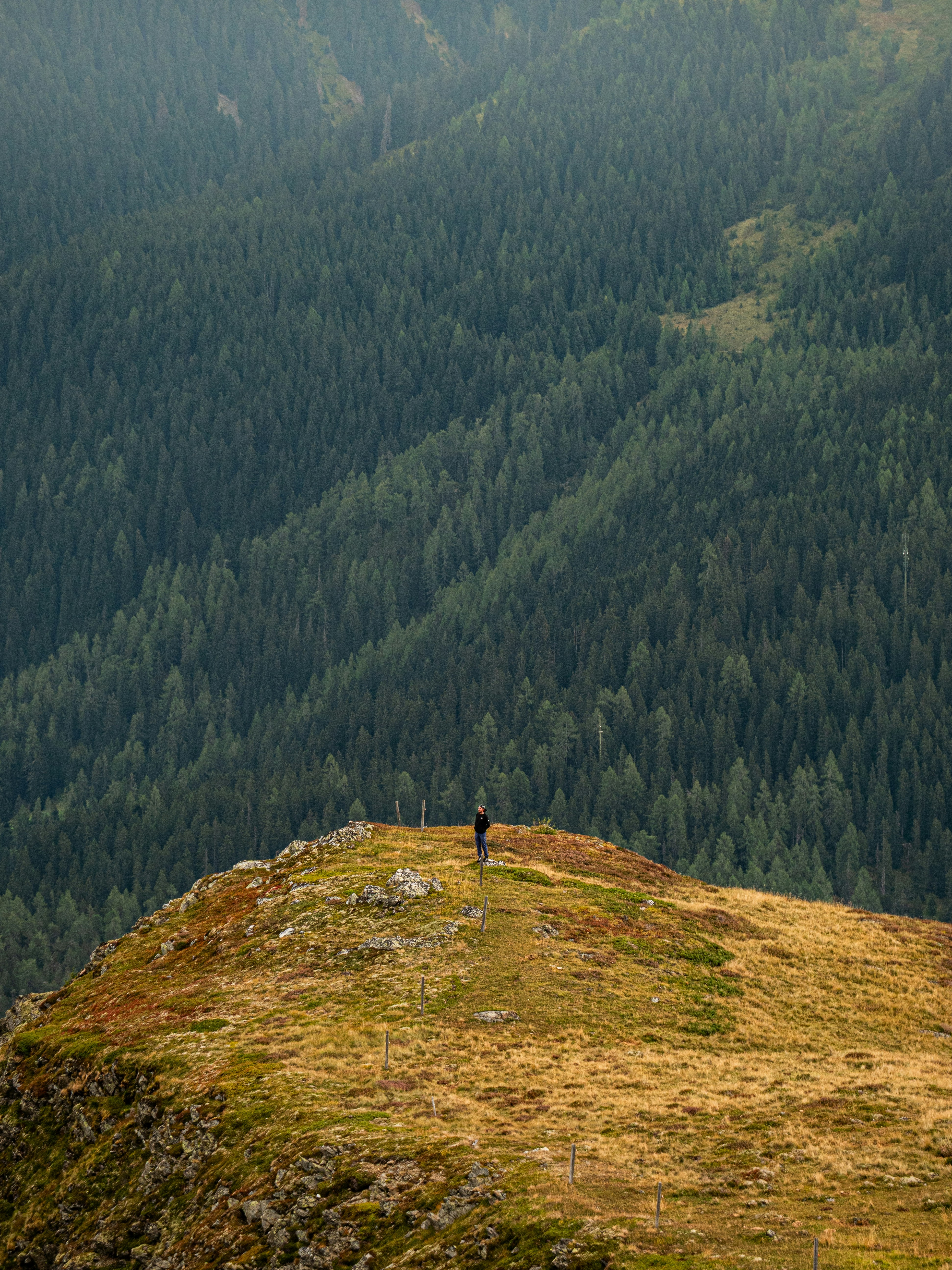 Edge of the World: One Walker at the Ridge