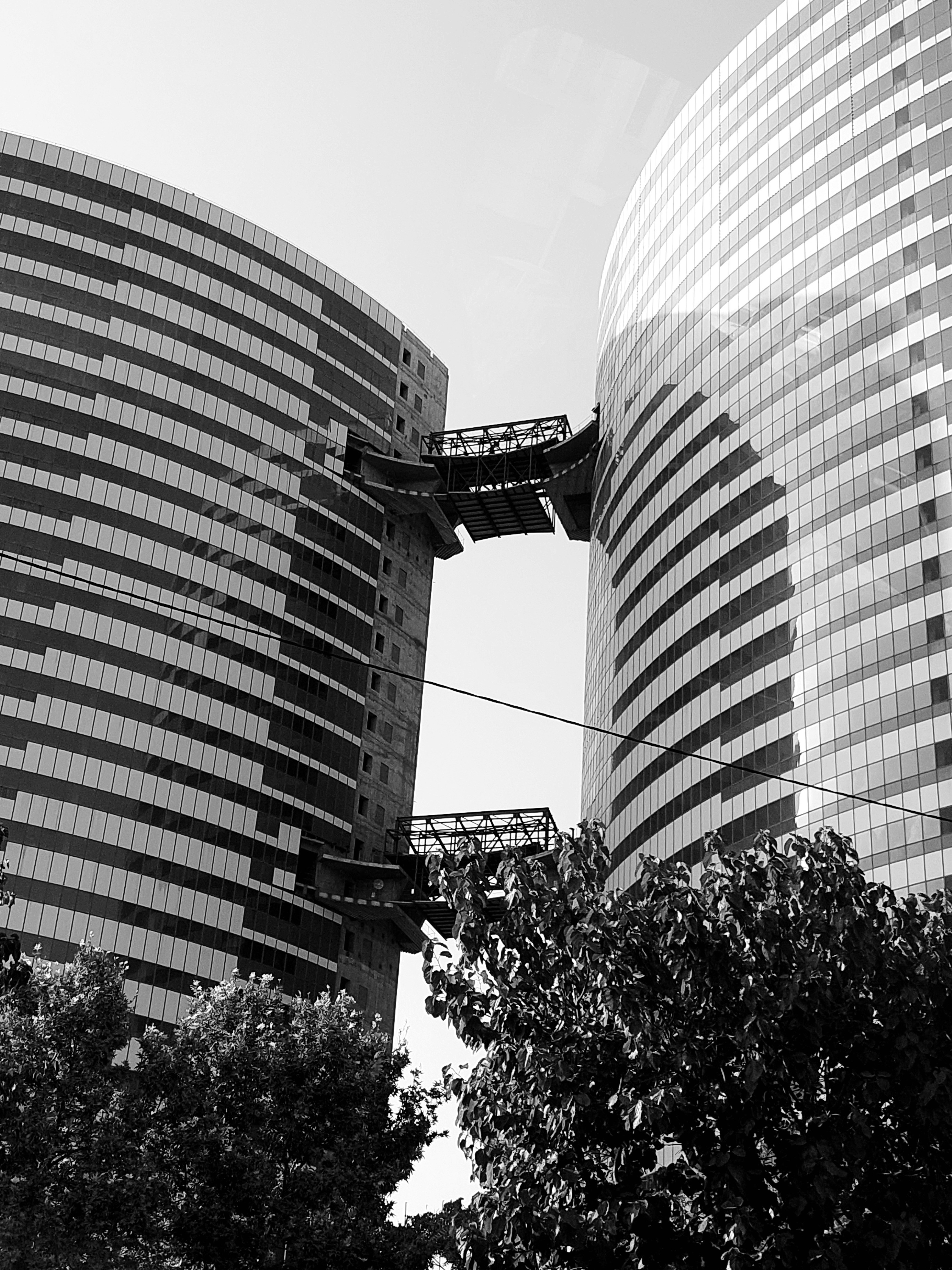 Bridge Between Giants: Monolithic Towers Linking Sky
