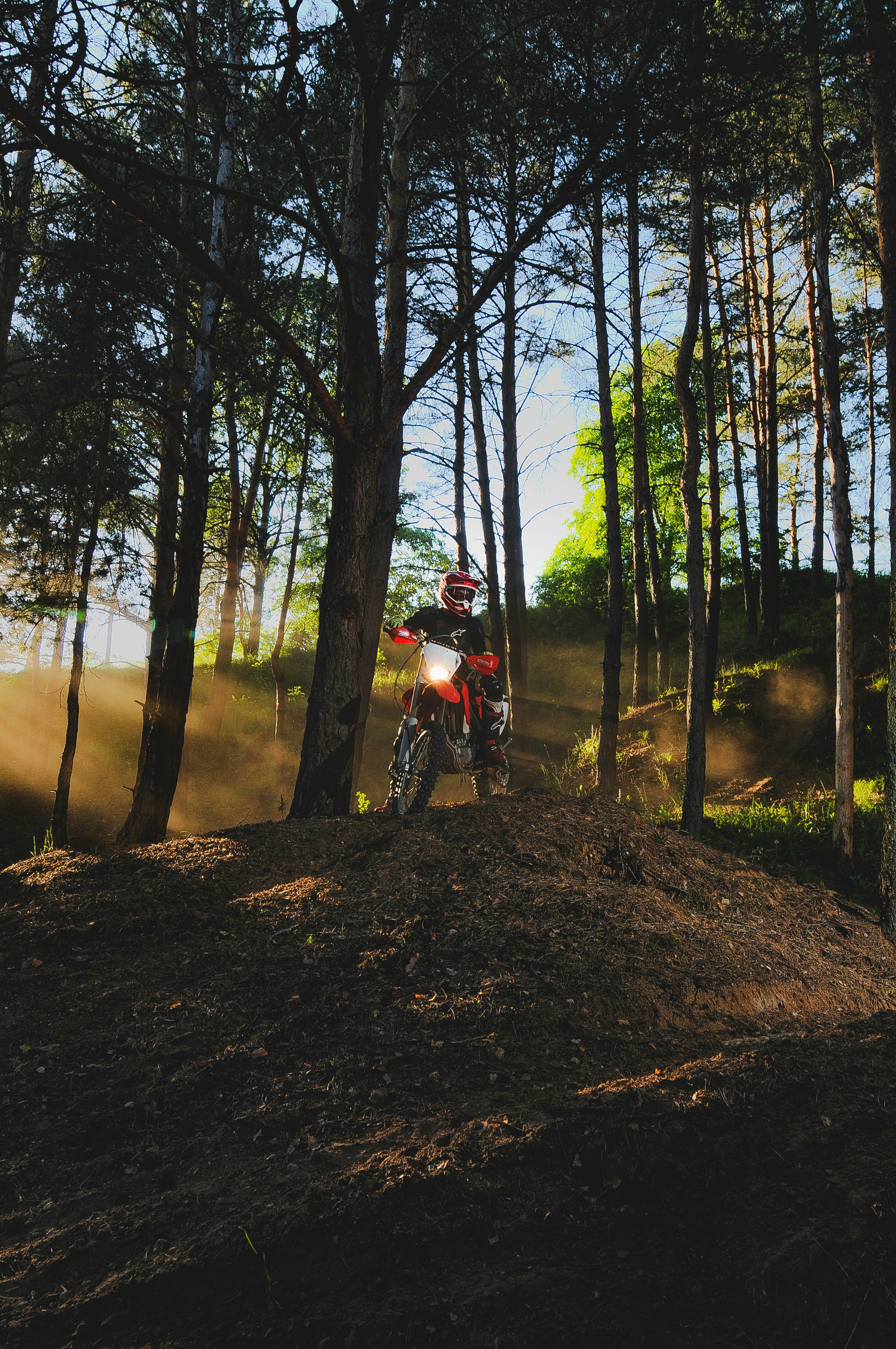 Dust Trail Ascend: A Dirt Bike Emerges from the Forest Light