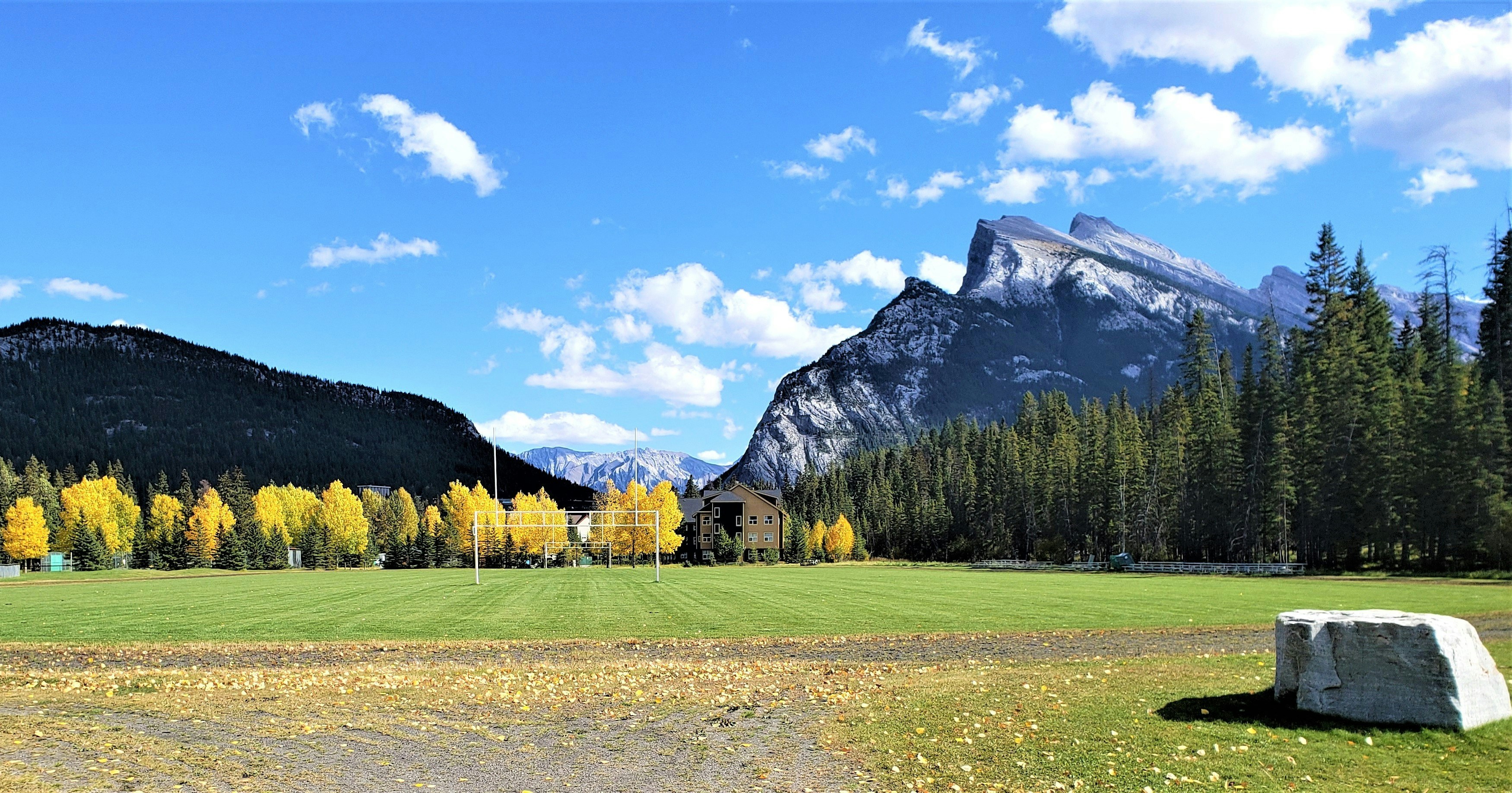 Echoes of a Mountain Meadow