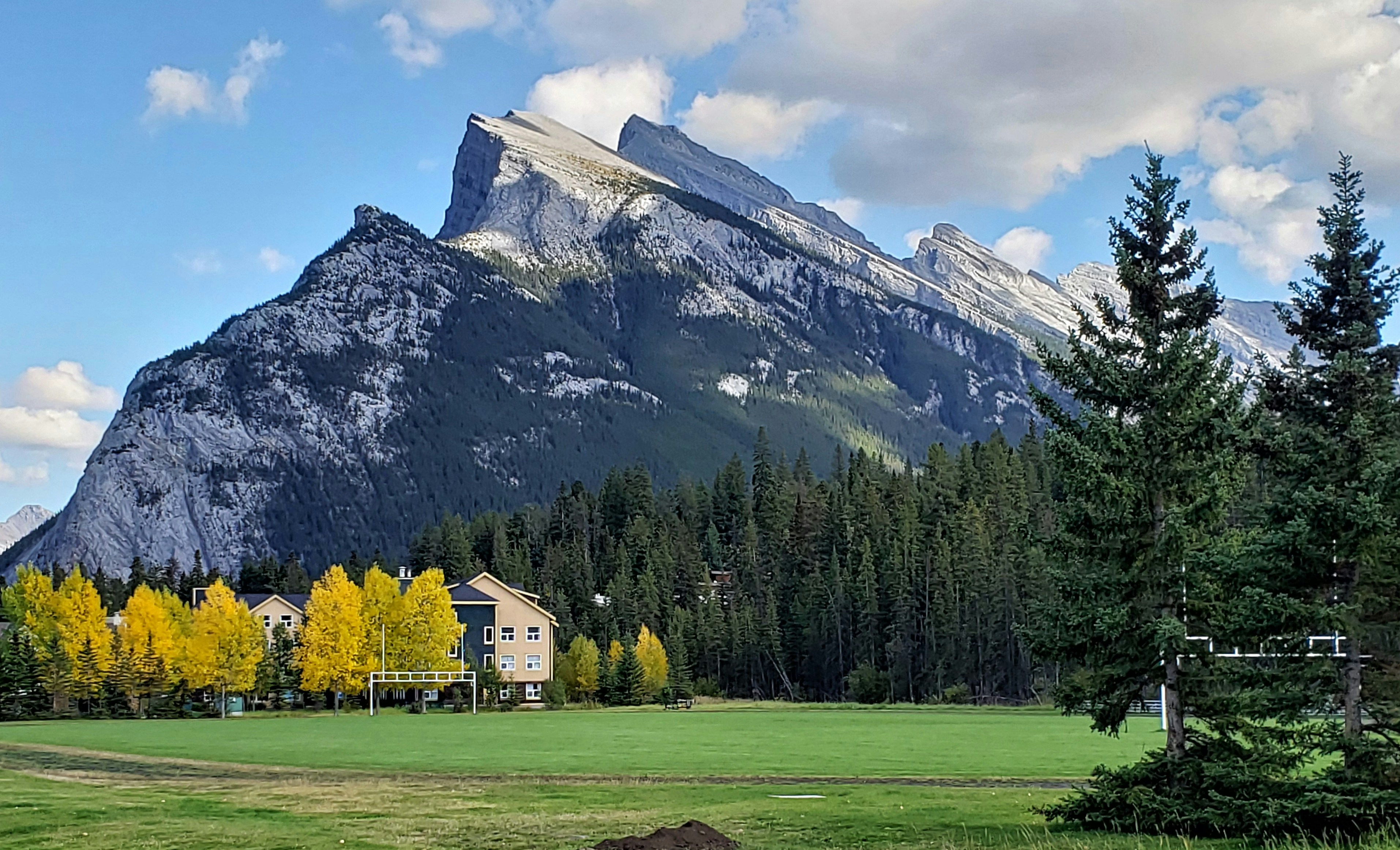 Golden Trees at the Foot of Snowy Peaks