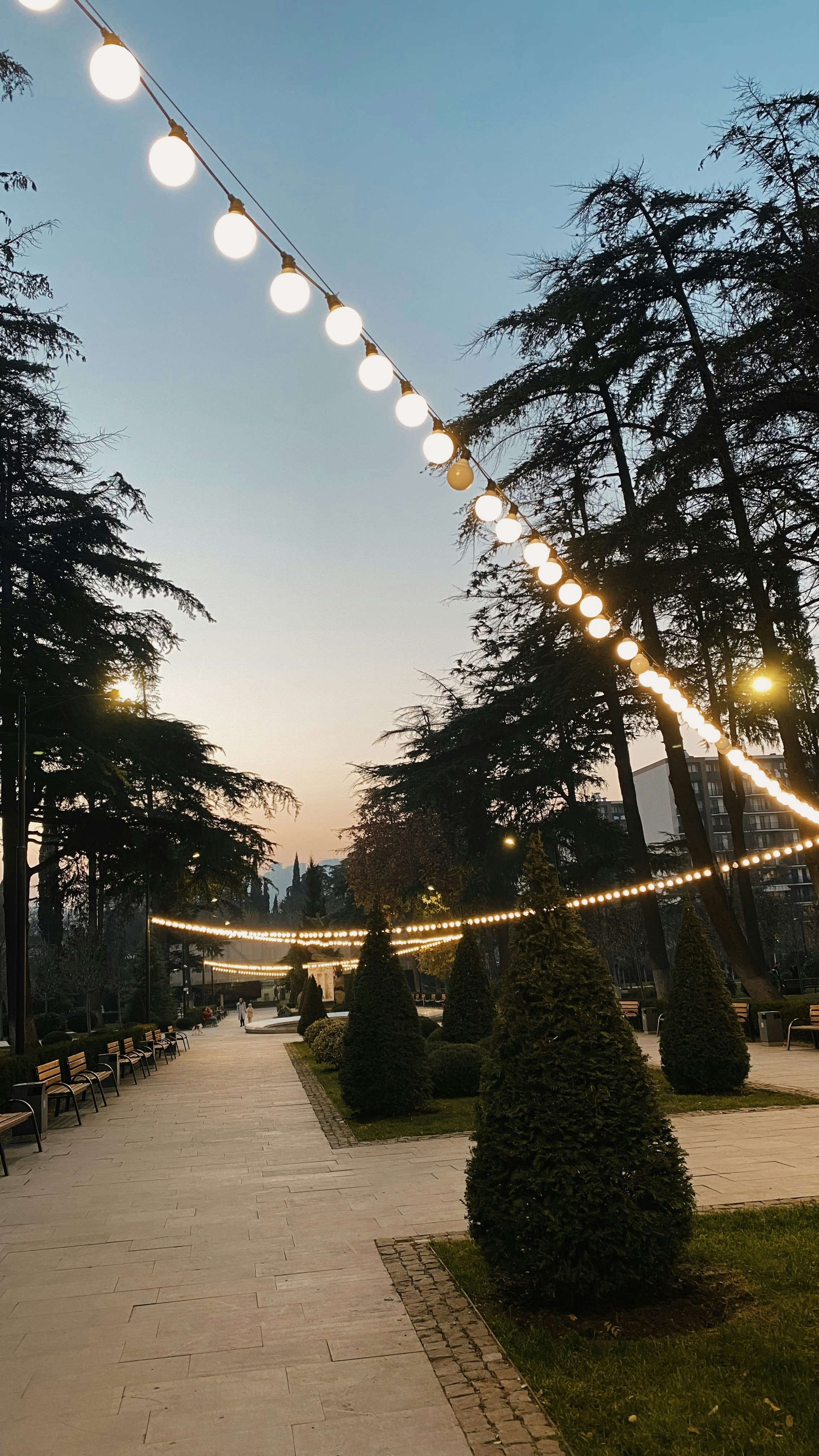 Twinkling Path: Evening Lights over a Tree-Lined Plaza