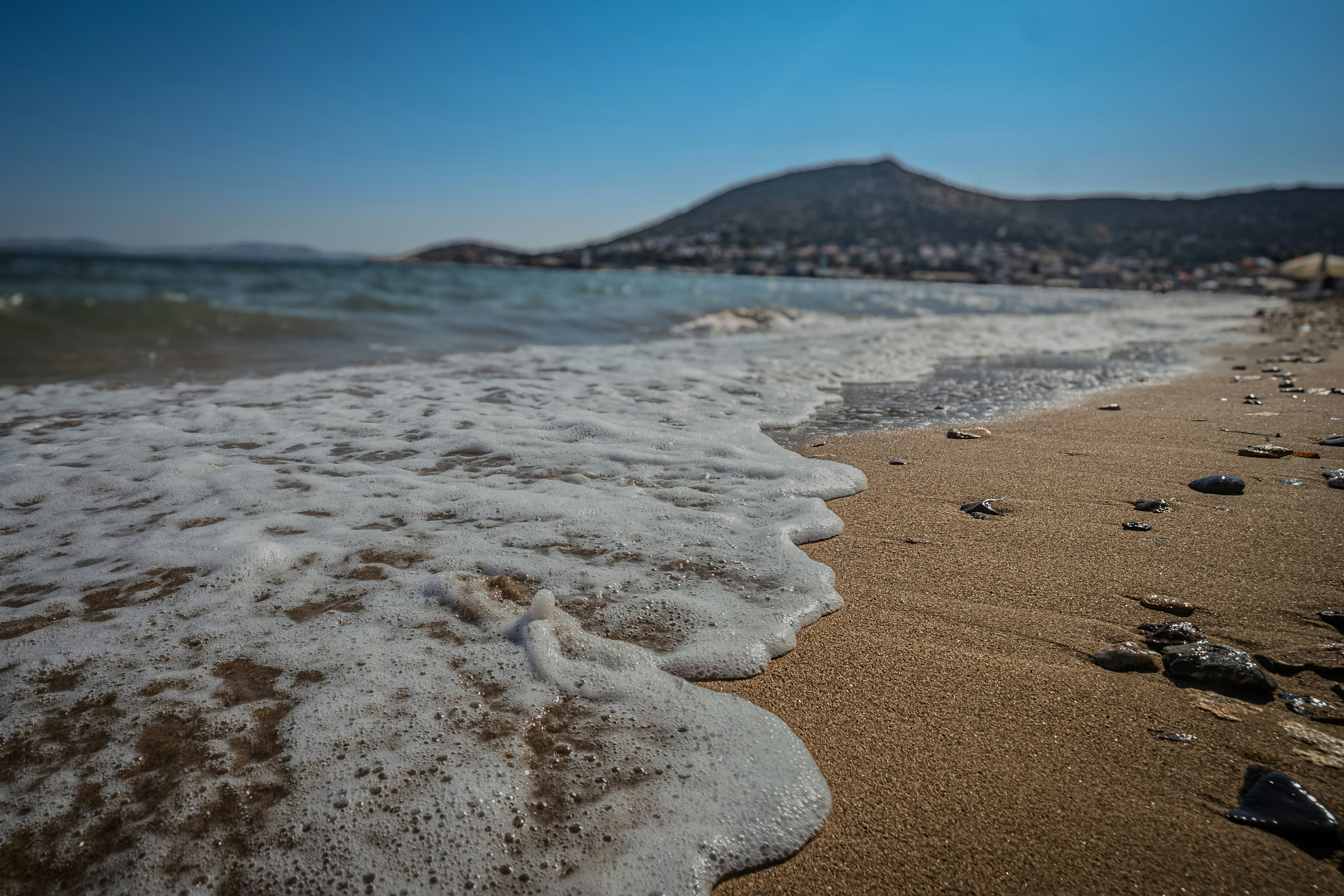 Foamy Edge: A Quiet Tide at the Sunlit Shore