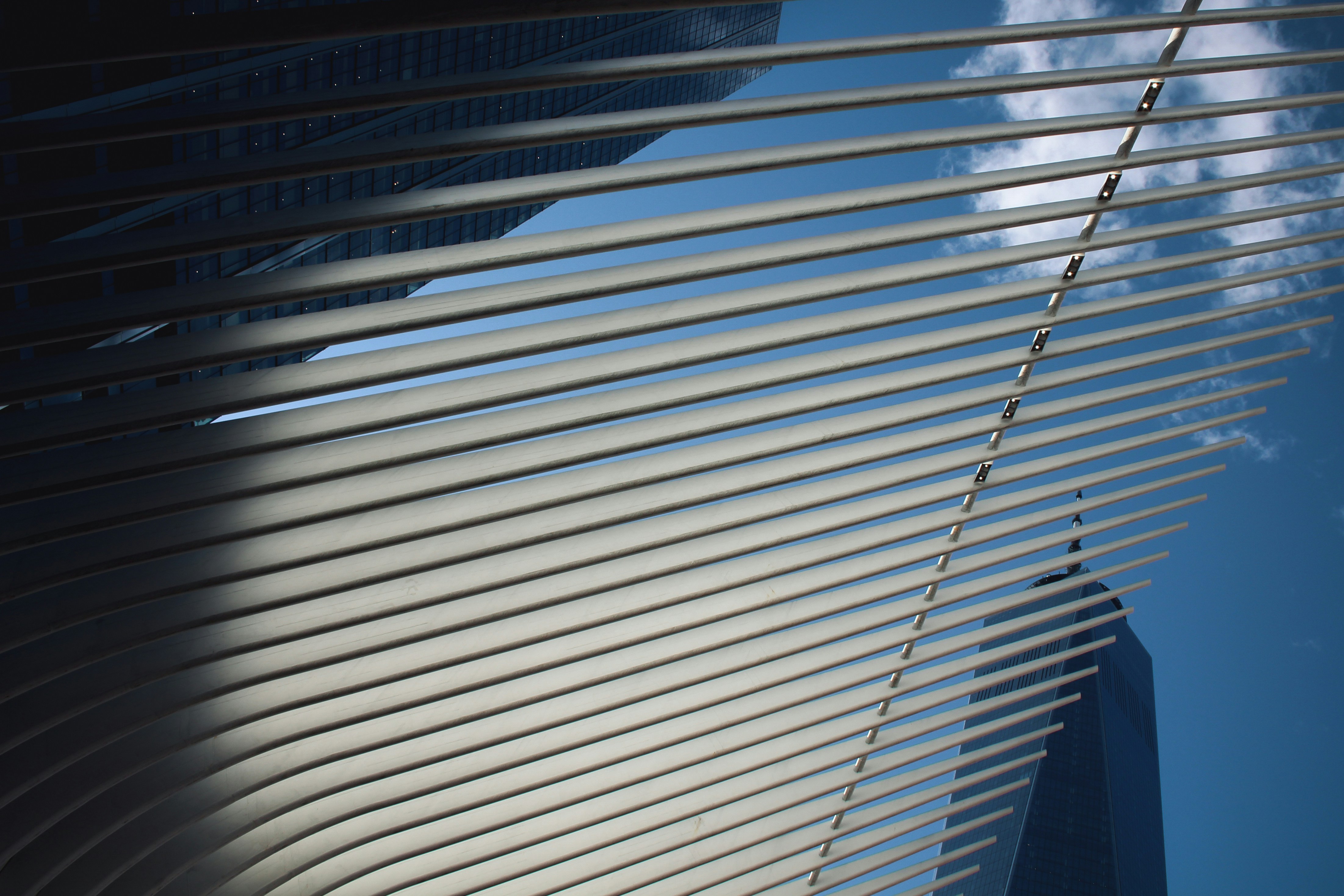 Ridge Lines: Reflections of Steel and Sky
