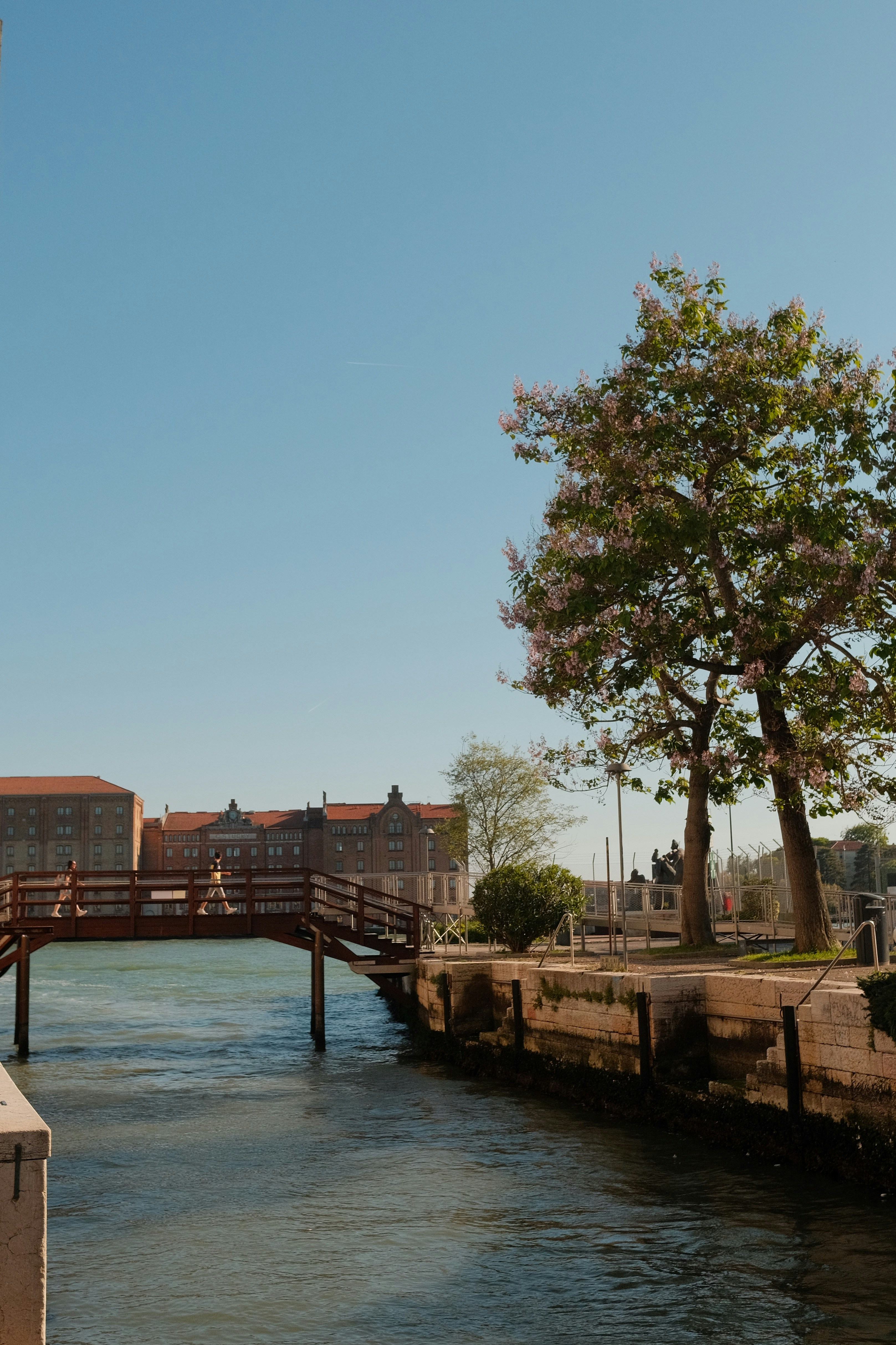Bridge, Tree, and Riverside Architecture Under Clear Sky