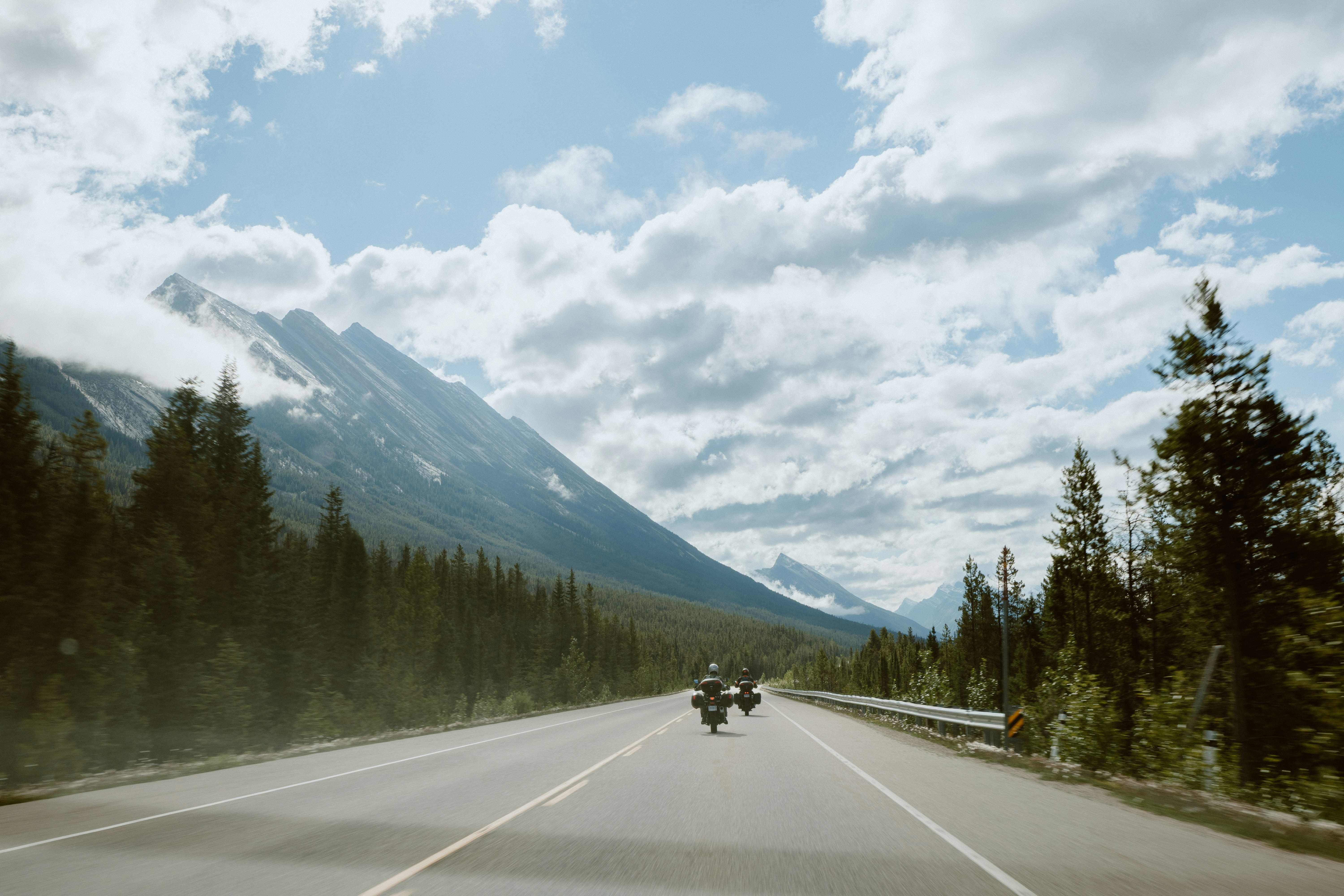 Sunlit highway leading toward distant mountains with motorcyclists in the middle ground, framed by evergreen trees; a clean, open road scene conveying motion and depth.