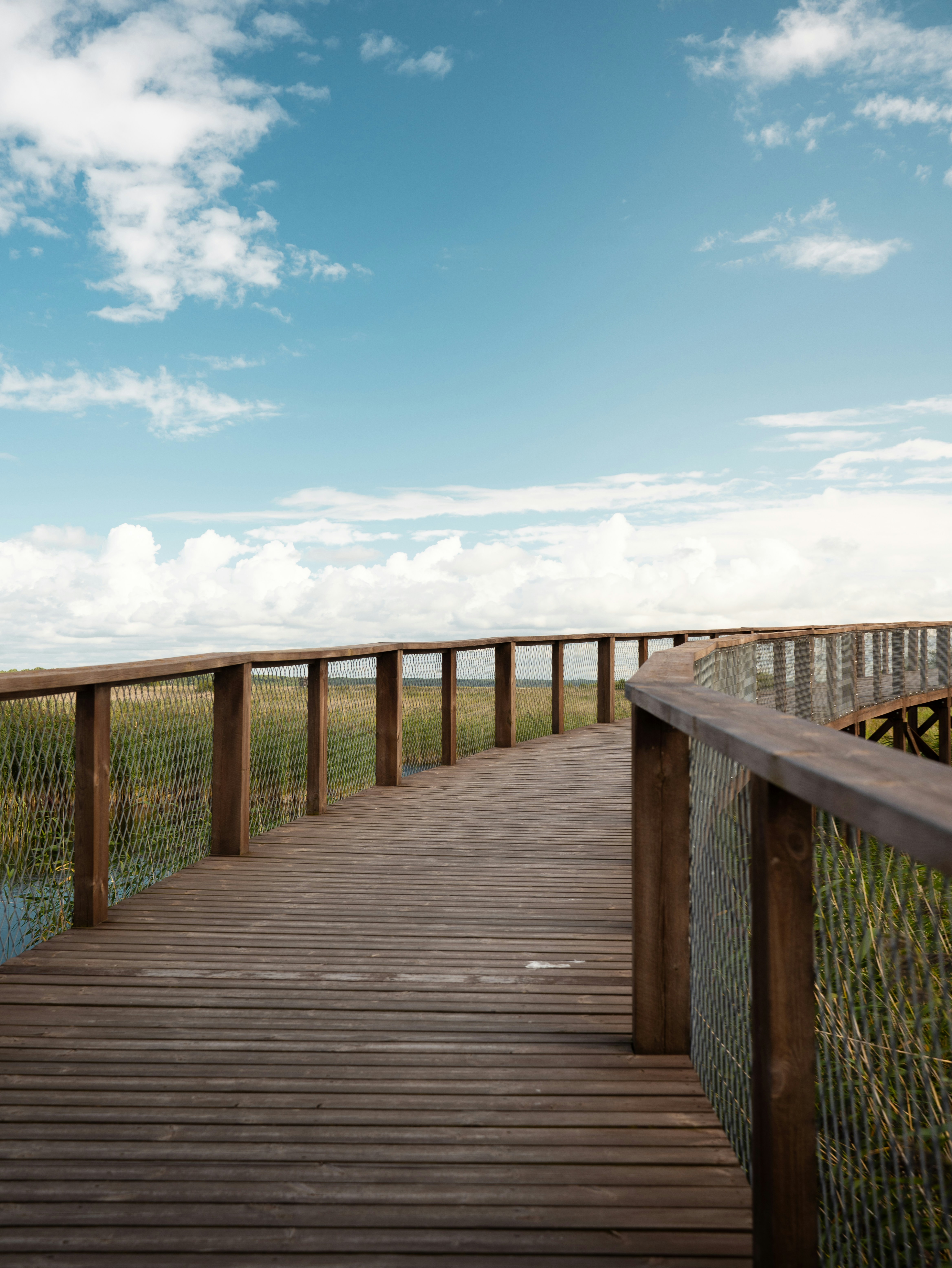 Wooden Boardwalk Dunes: A Skyward Walk Across Horizons