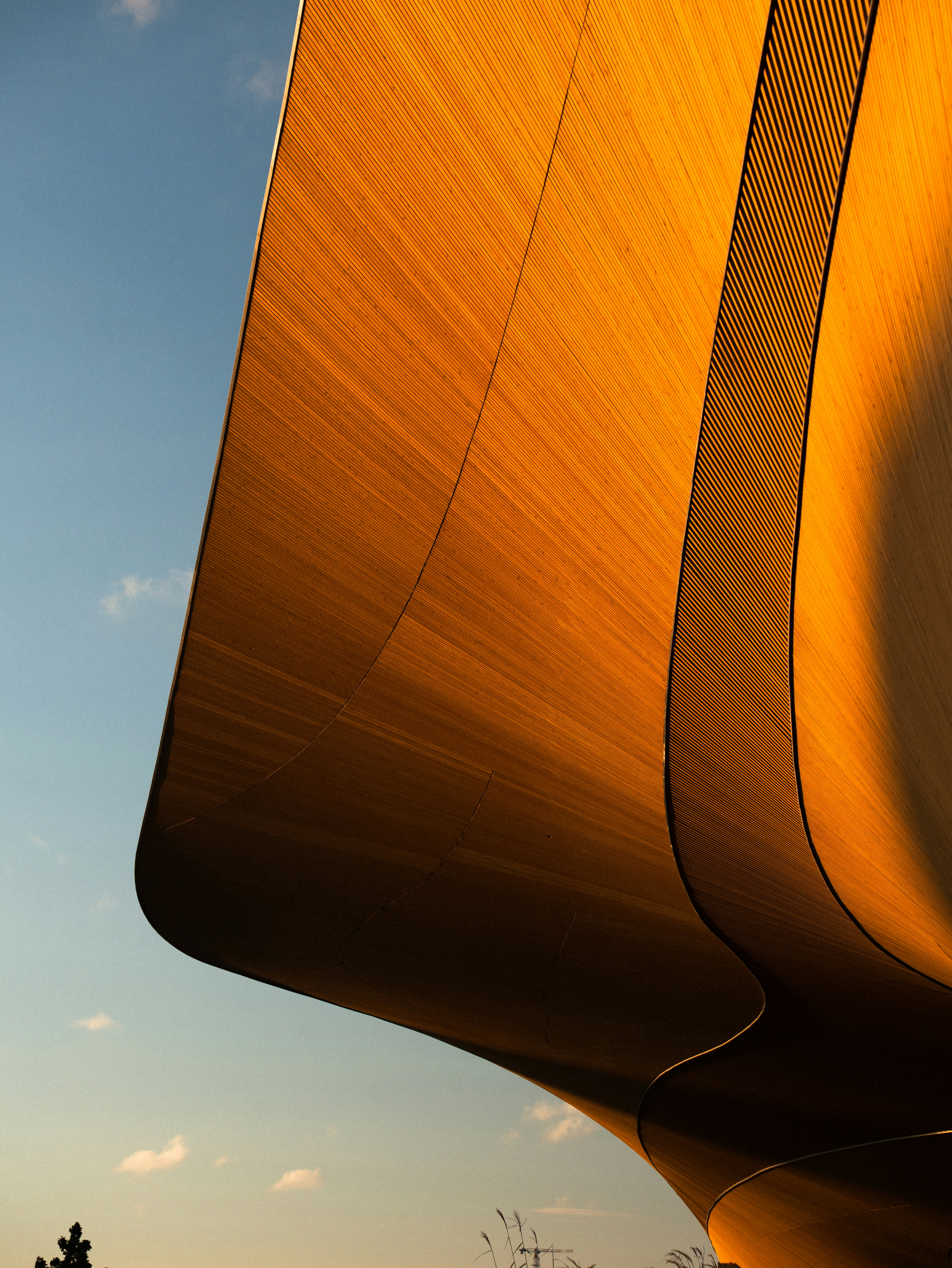 Golden Curves: The Wind-Sculpted Facade