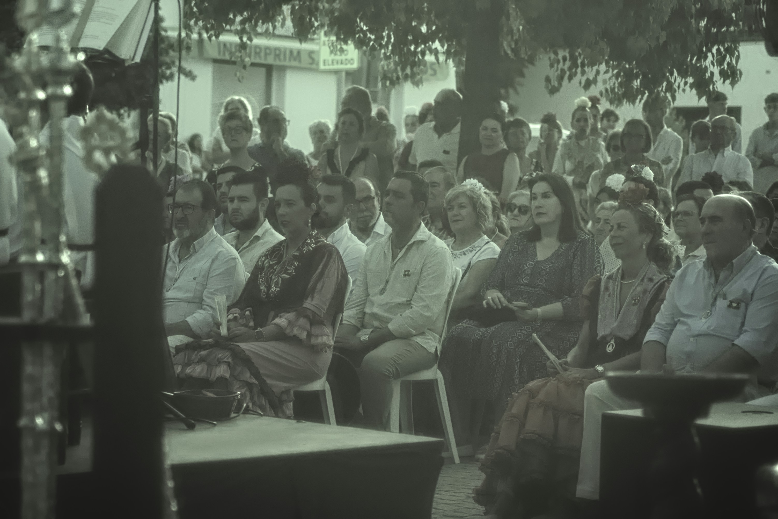 Quiet Gathering Under a Tree: Faces in the Front Row