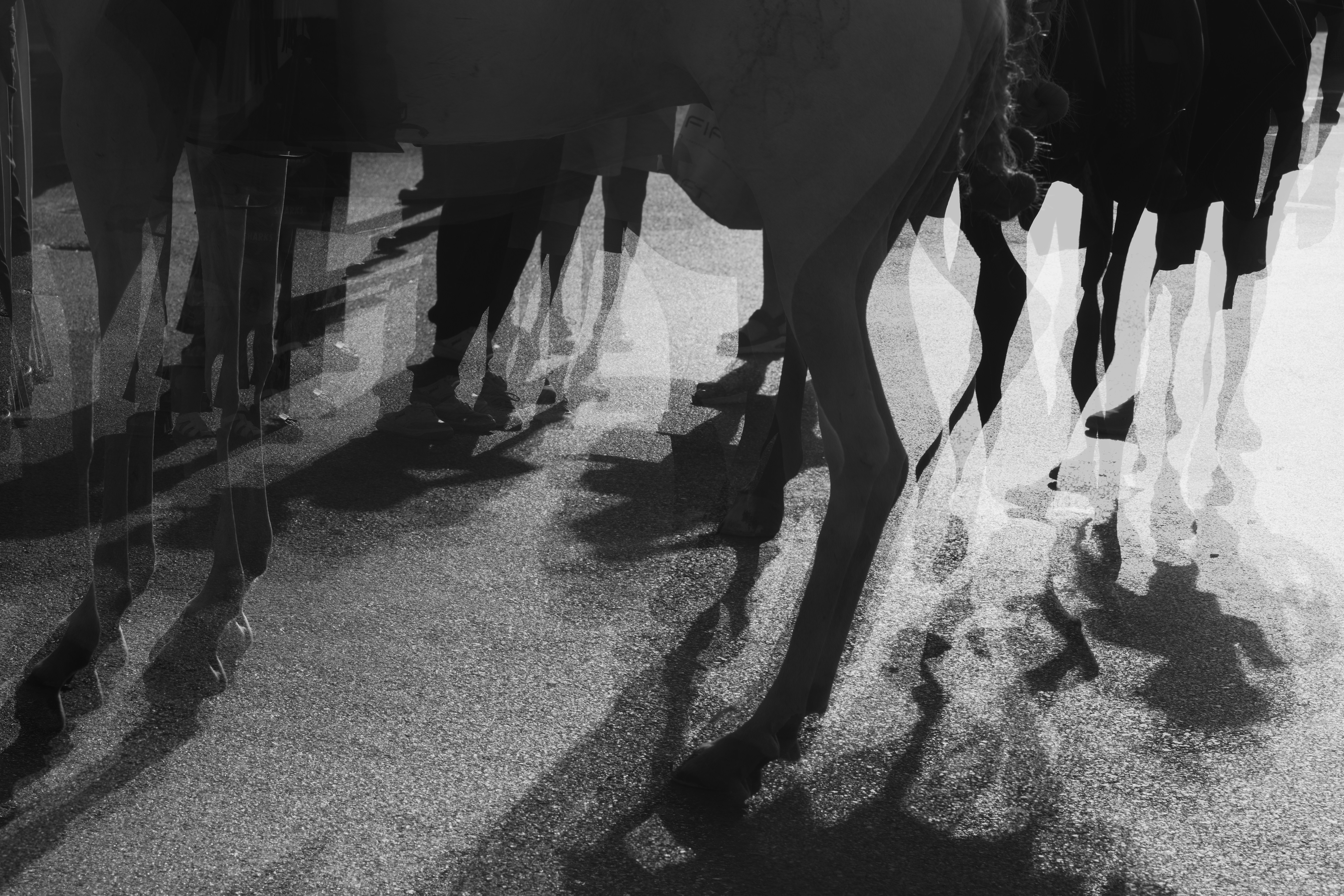 Shadowed Stride: A Rhythmic Mass of Limbs on Asphalt