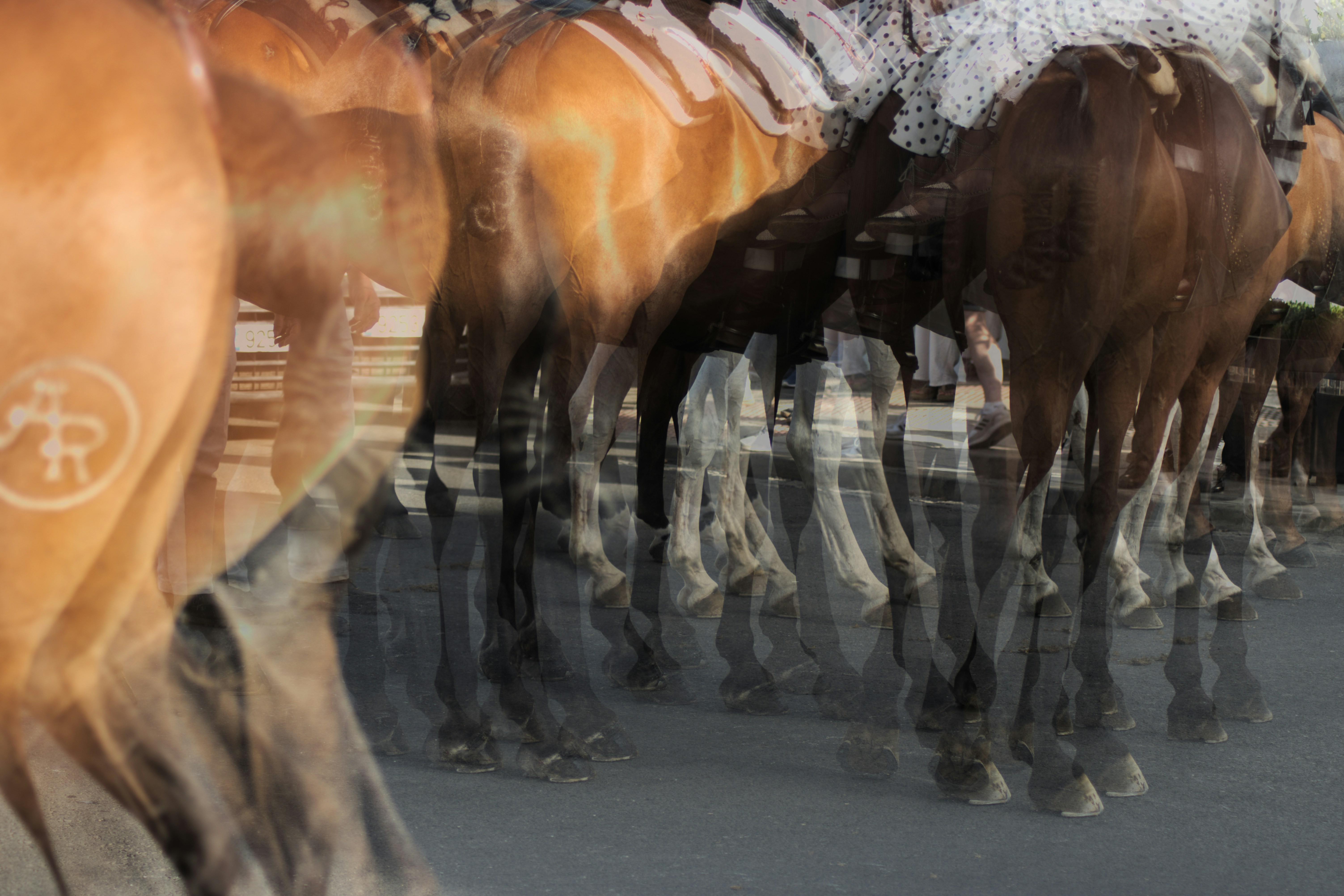 Whispers of Motion: Horses in a Layered Gait