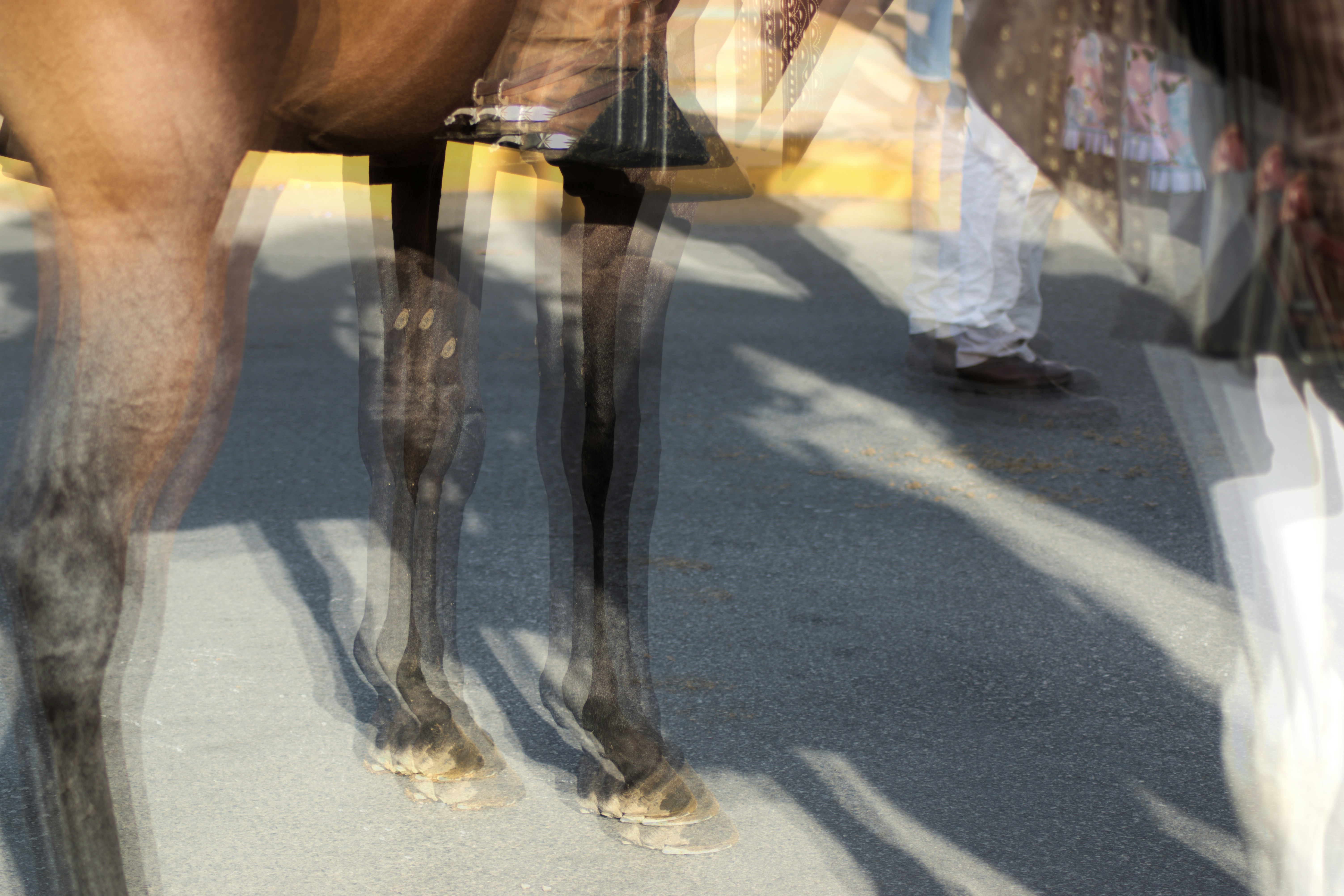 Toward the Light: Ghosted Pedestrians in Motion Blur