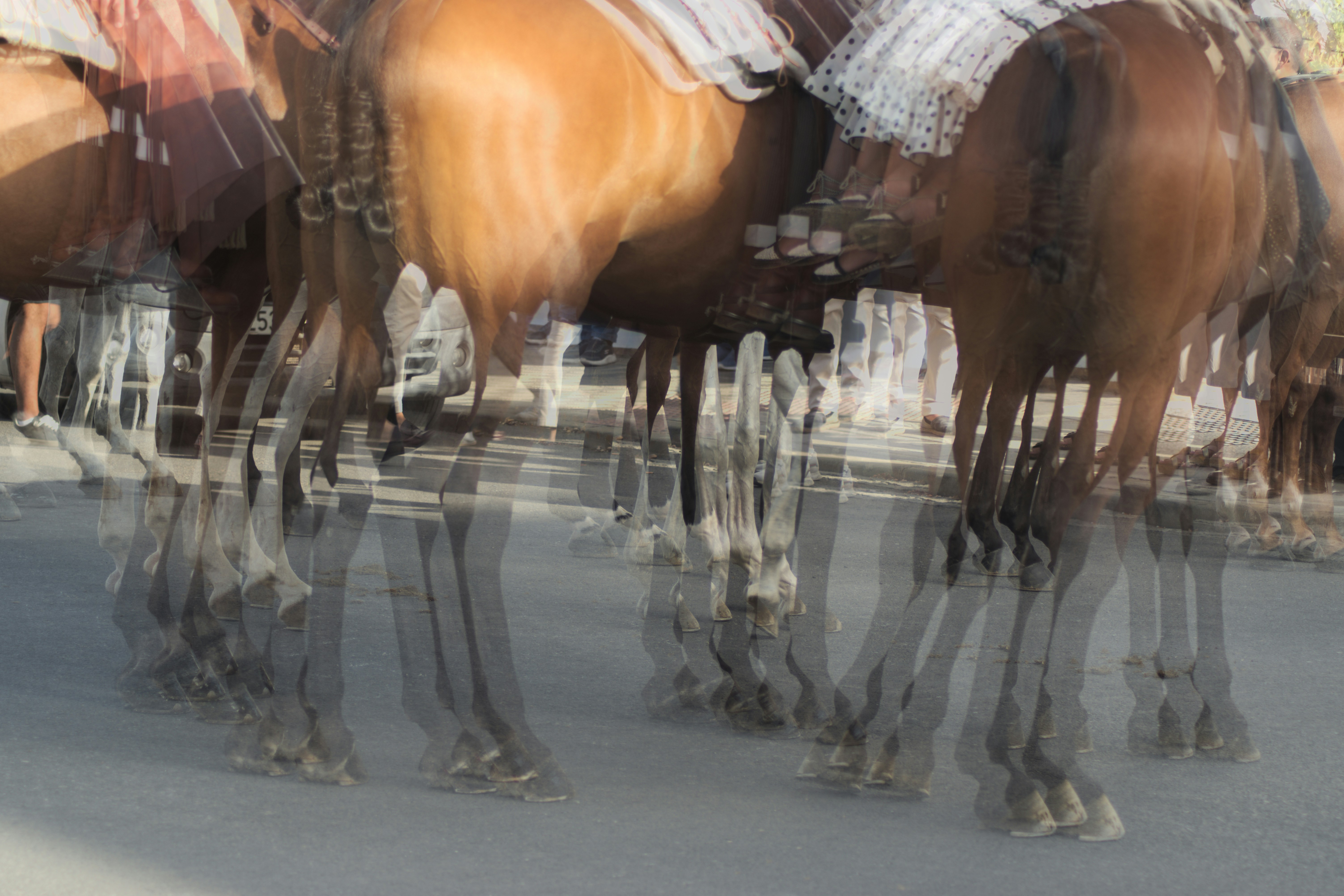 Blurred Backlit Parade: Horses in Motion Across the Street