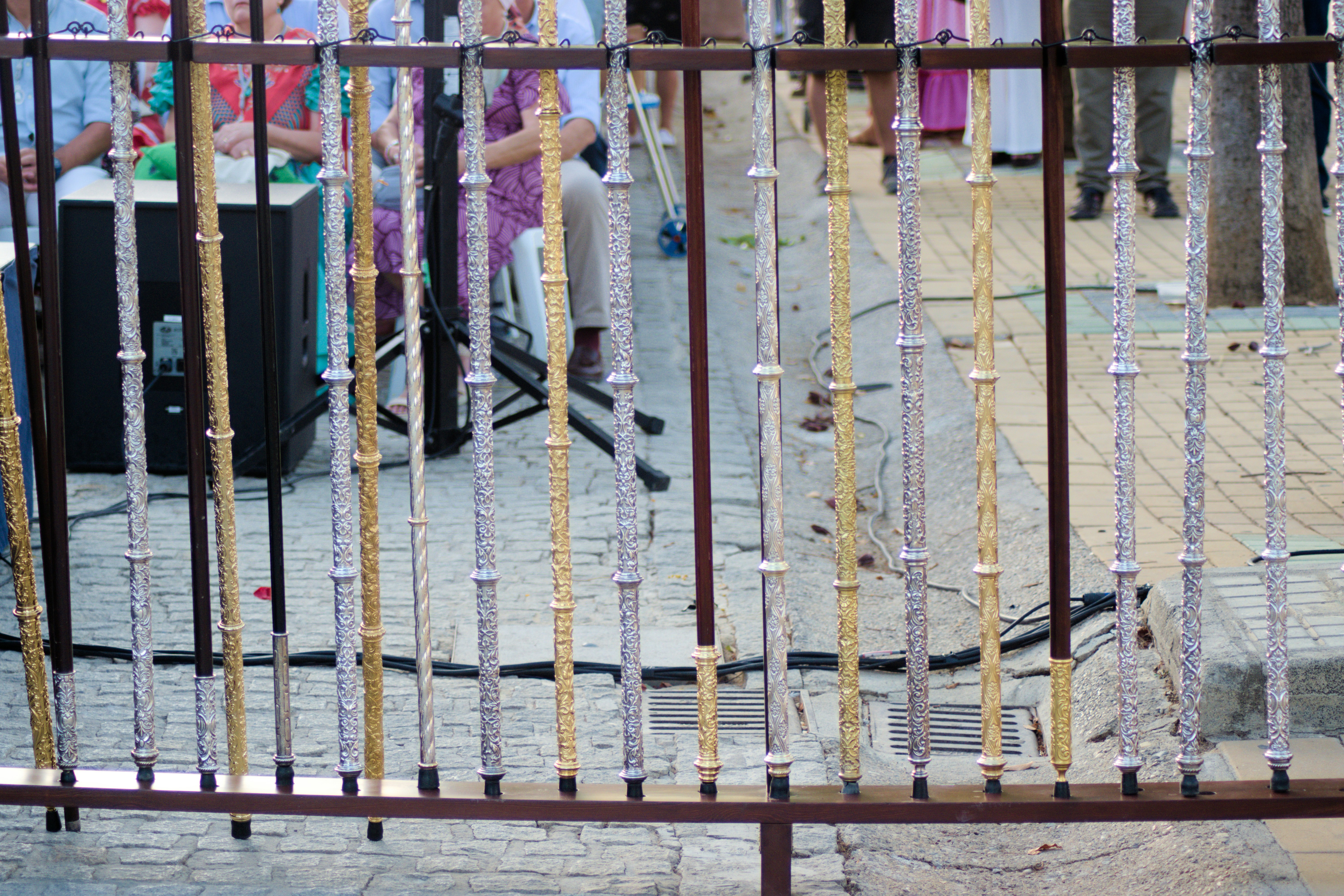 Bars and Gilded Threads: A Quiet Moment Beyond the Gate
