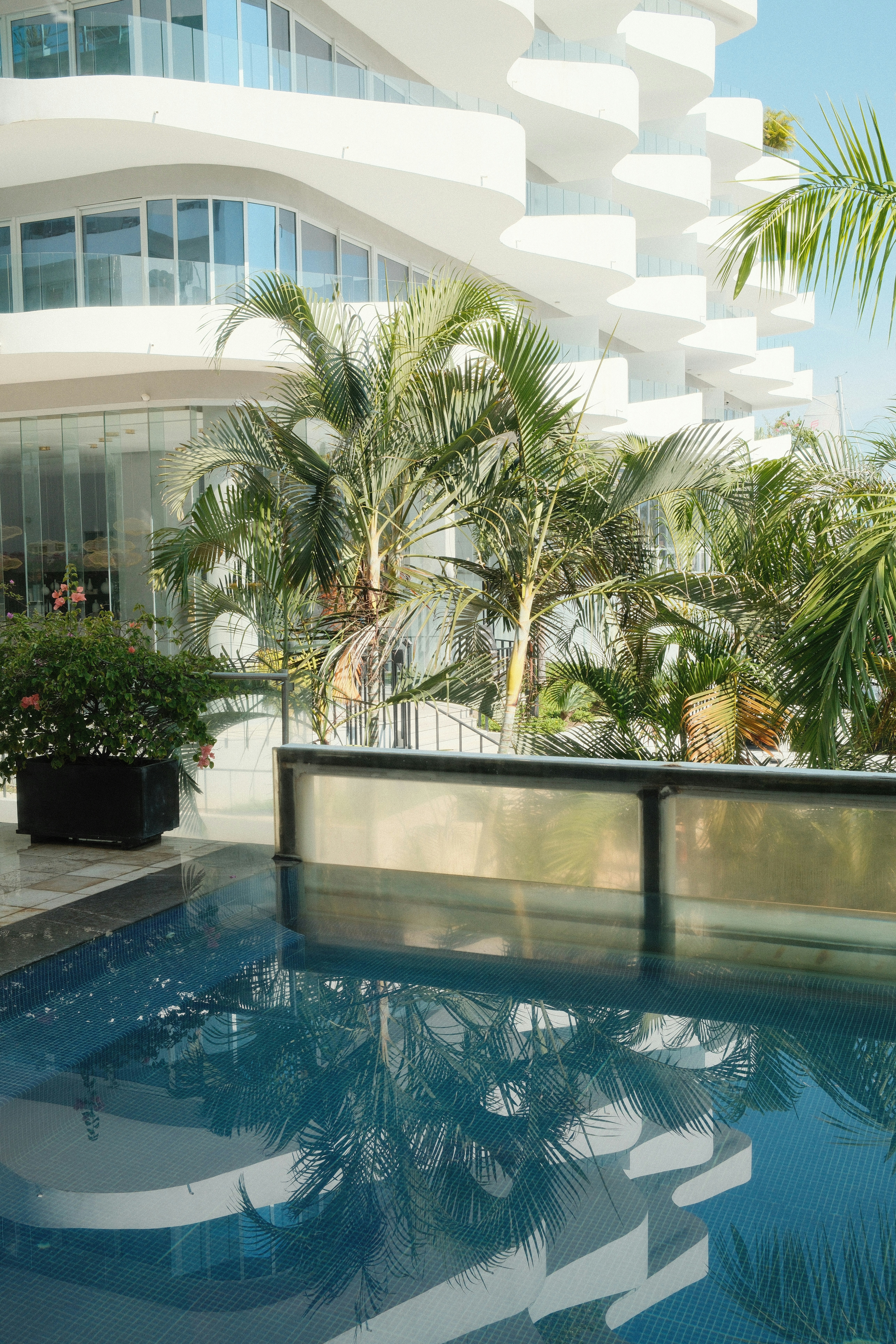 Reflection and Modern Curves: Oasis by the Pool