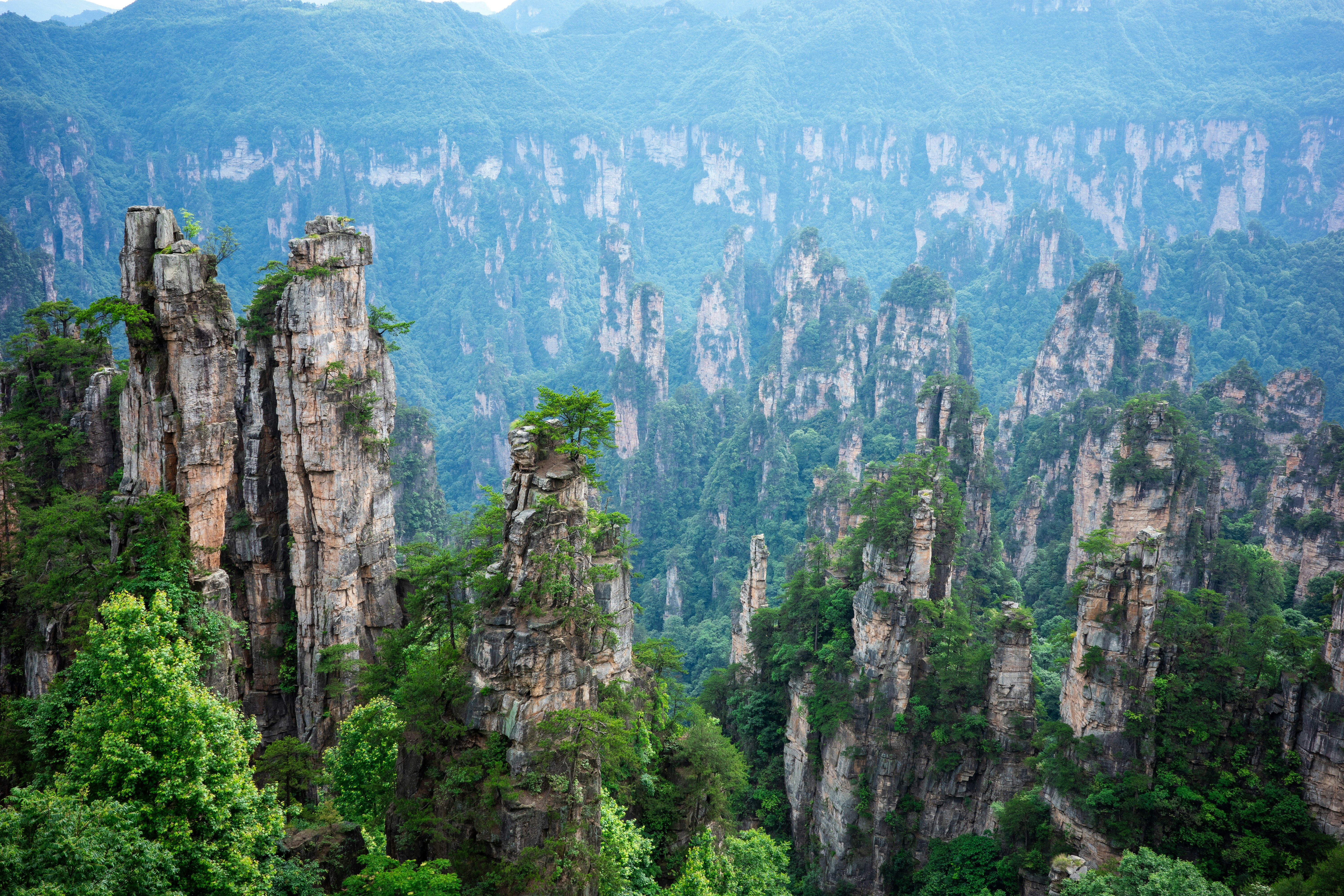 Pillar Forest: A Valediction of Stone Spires Rising From Mist