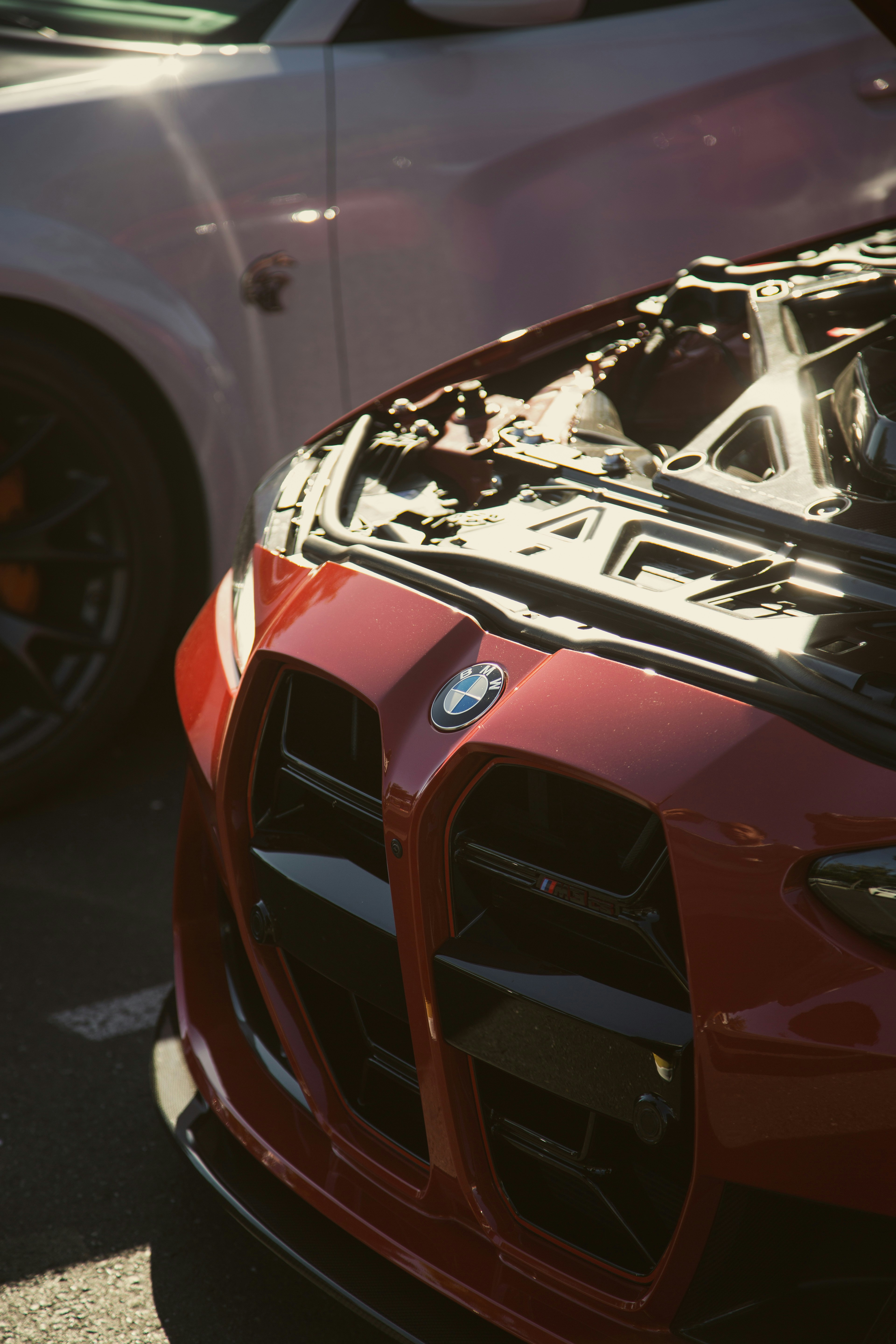 Red Power: BMW Grille and M Engine Under Sunlit Hood