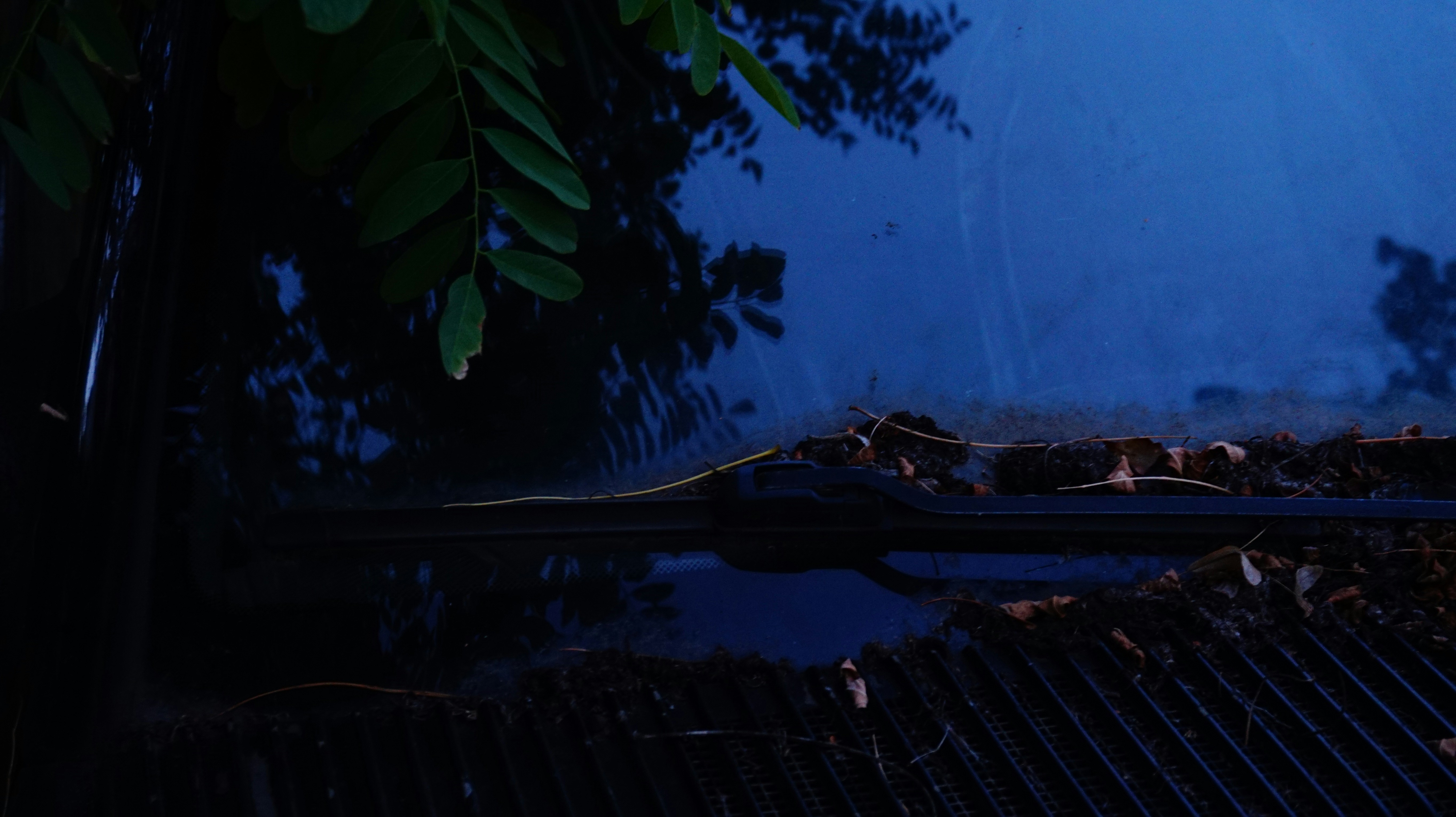 Hidden Edge of Night: Dew-Damp Grate Beneath Blue Shade