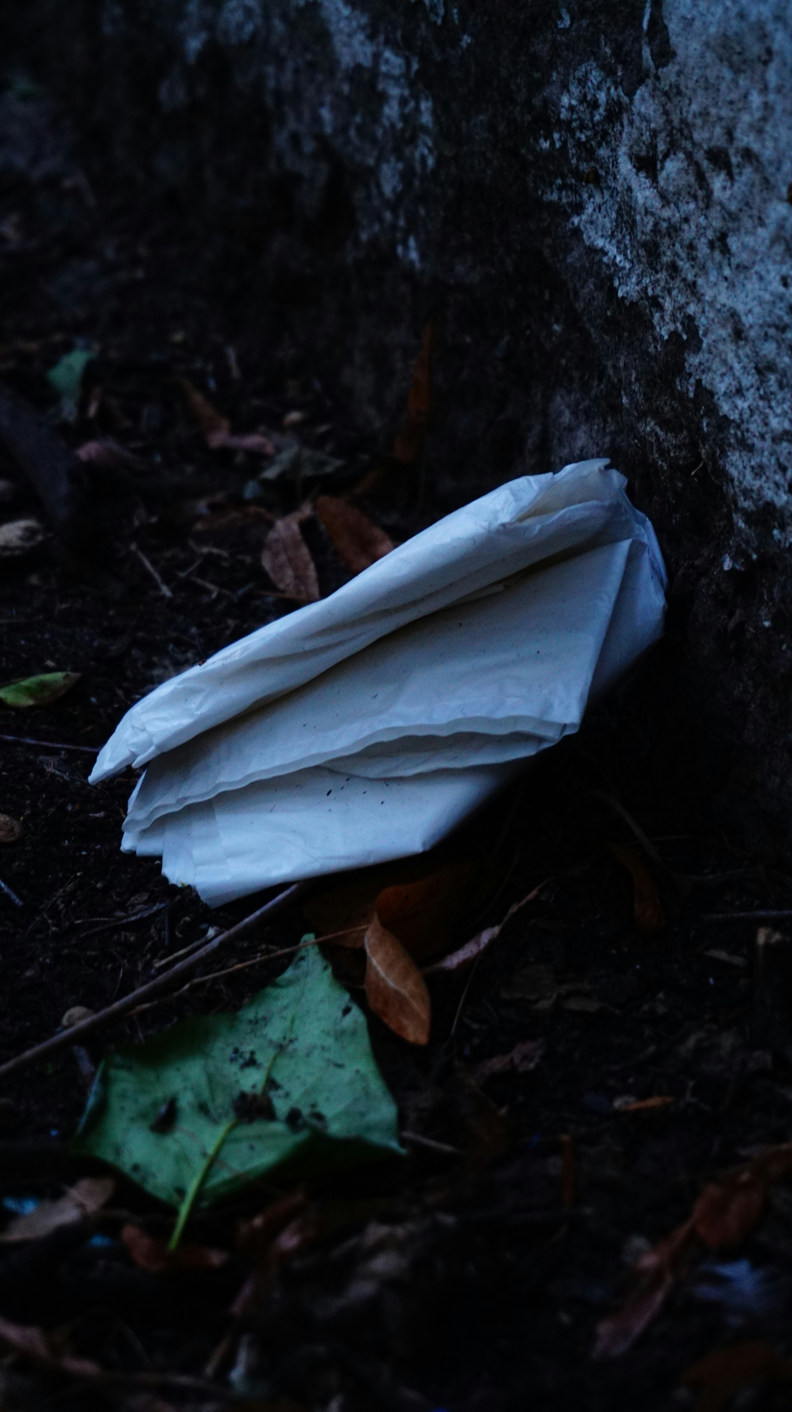 Folded white tissue tucked beside a damp stone edge