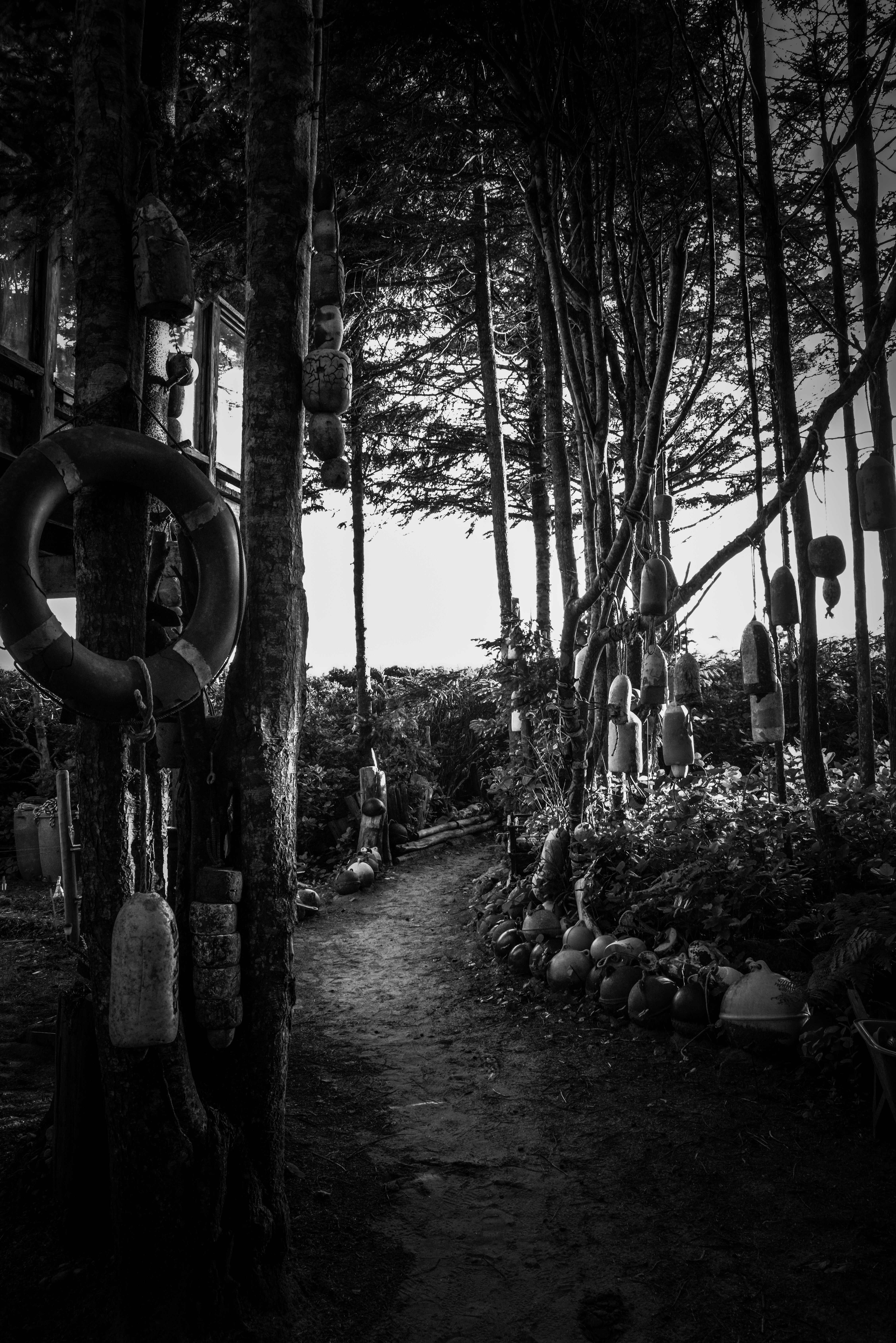 Lifebuoys and Lanterns: A Quiet Walk Through the Tree-Dense Spiral