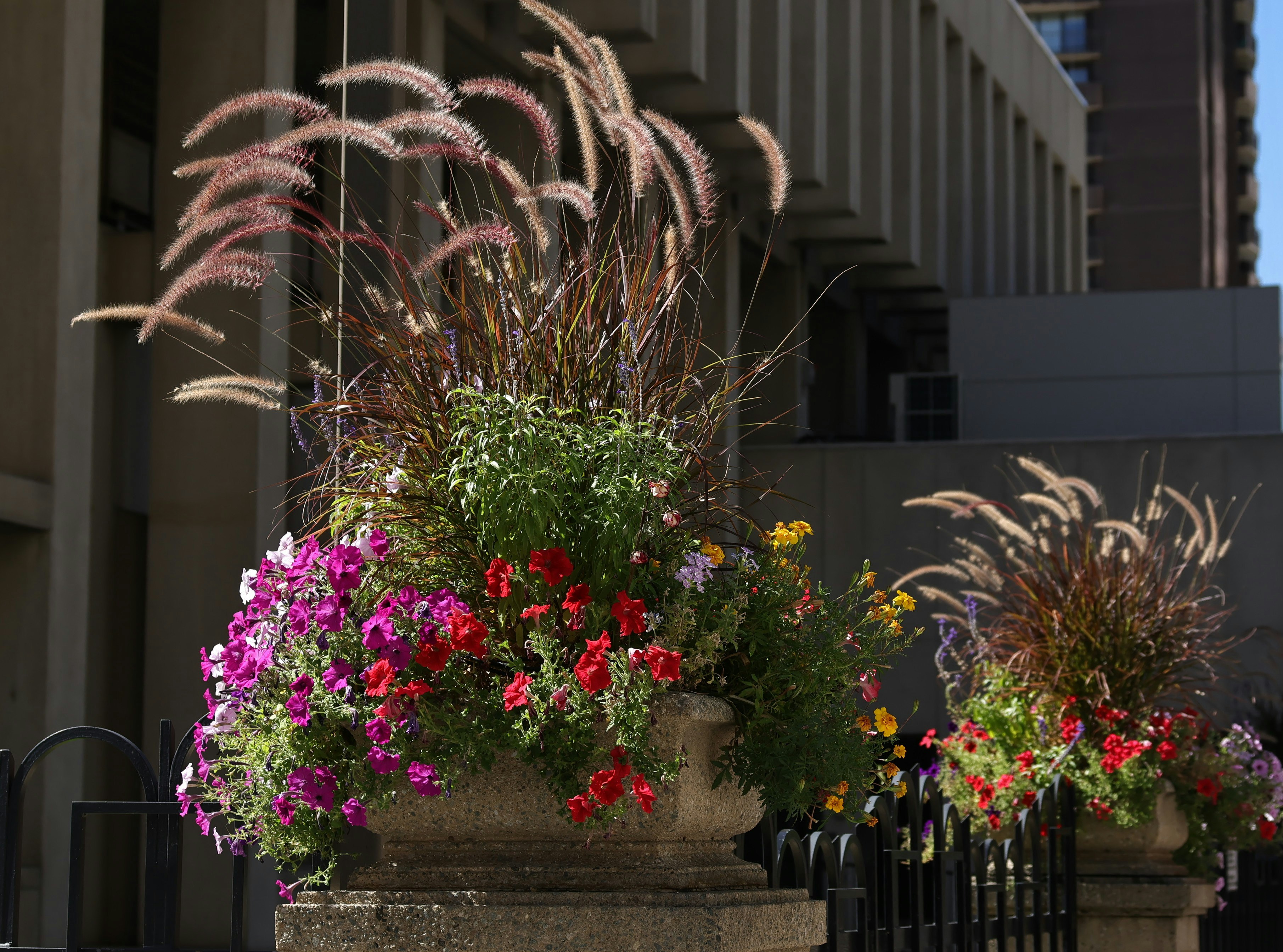 Urban Flower Urn: A Burst of Color Against Concrete