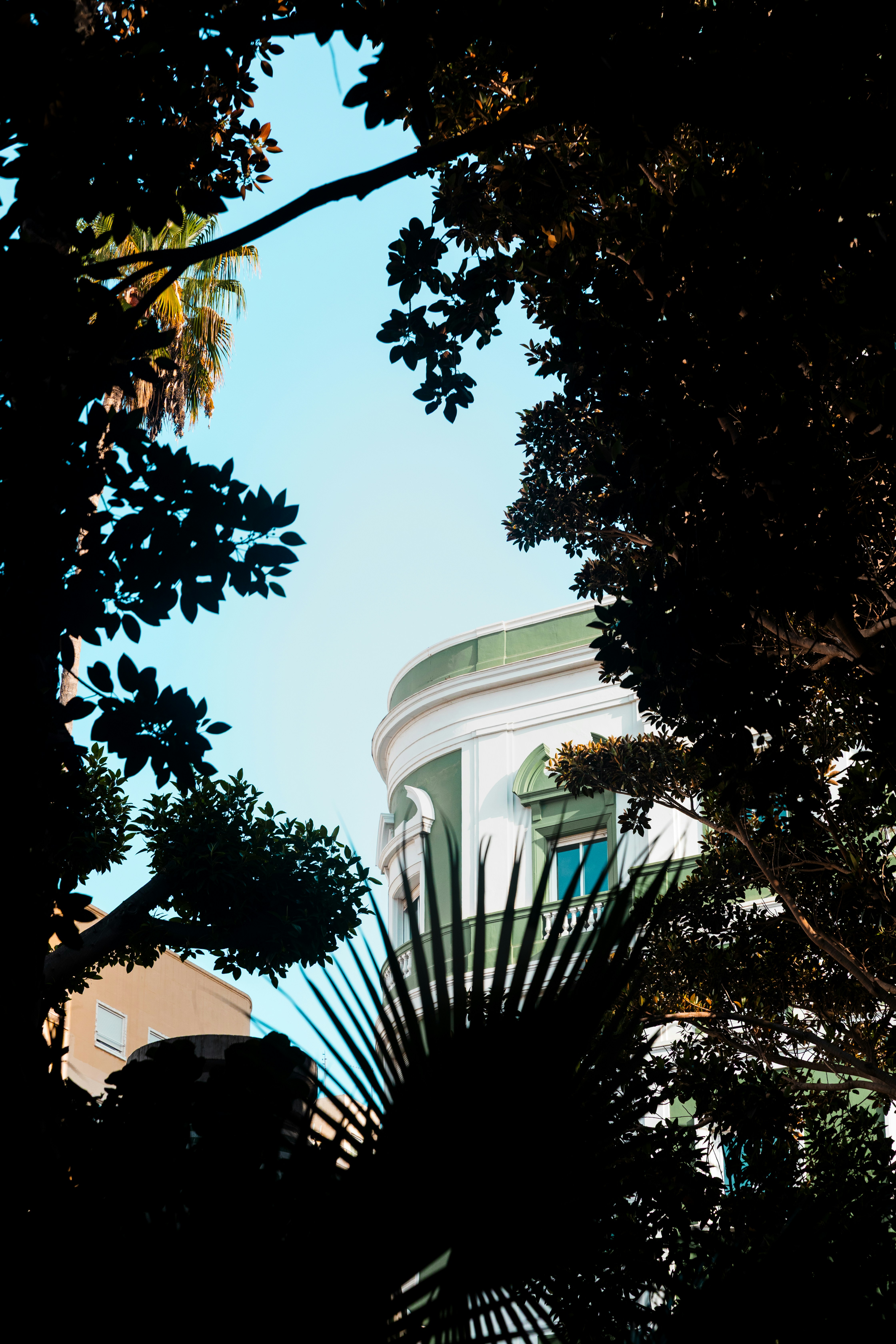 Courtyard Beyond: Sunlit Arch and Shadowed Foliage