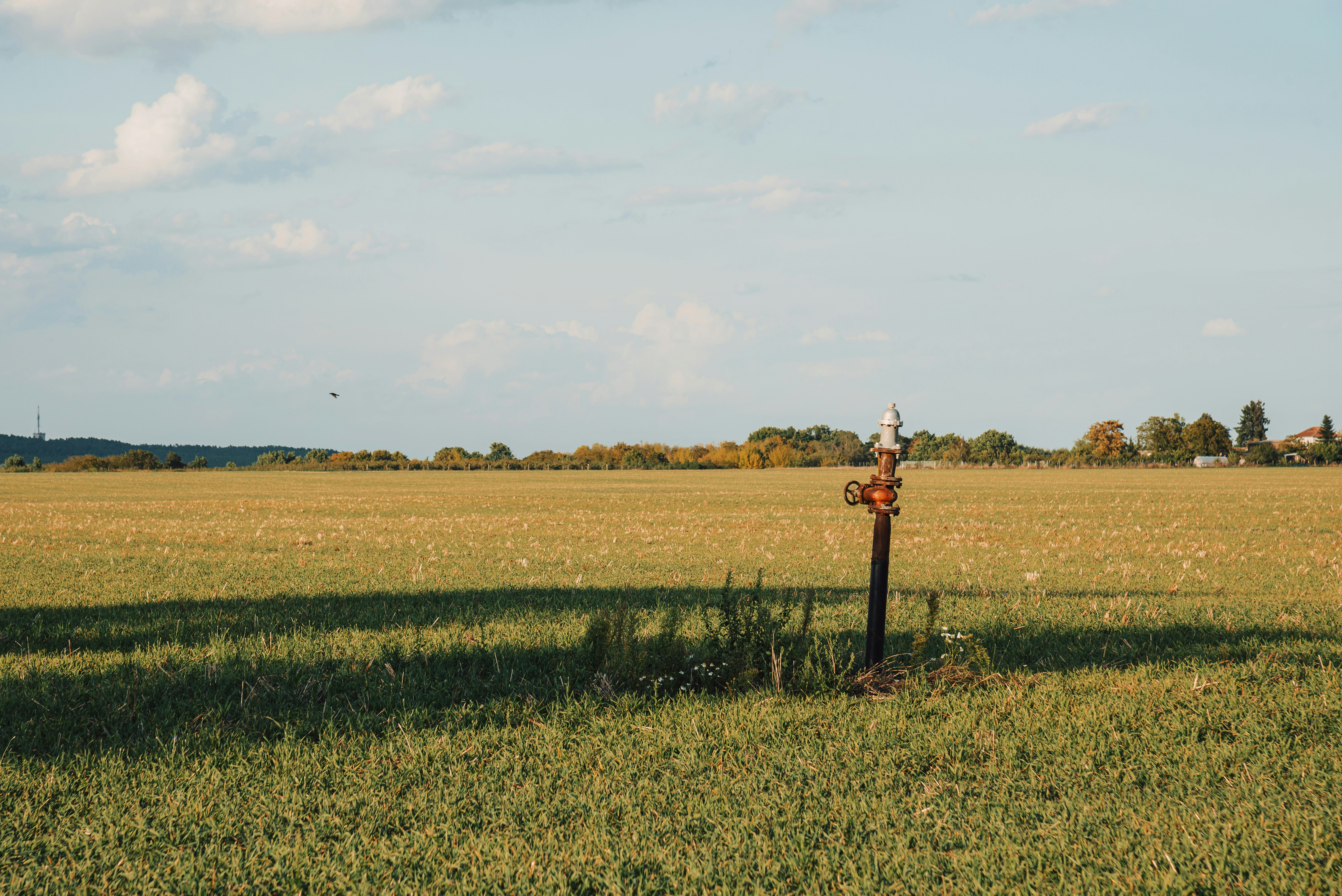 The Field Switch: Rusted Valve in a Quiet Prairie