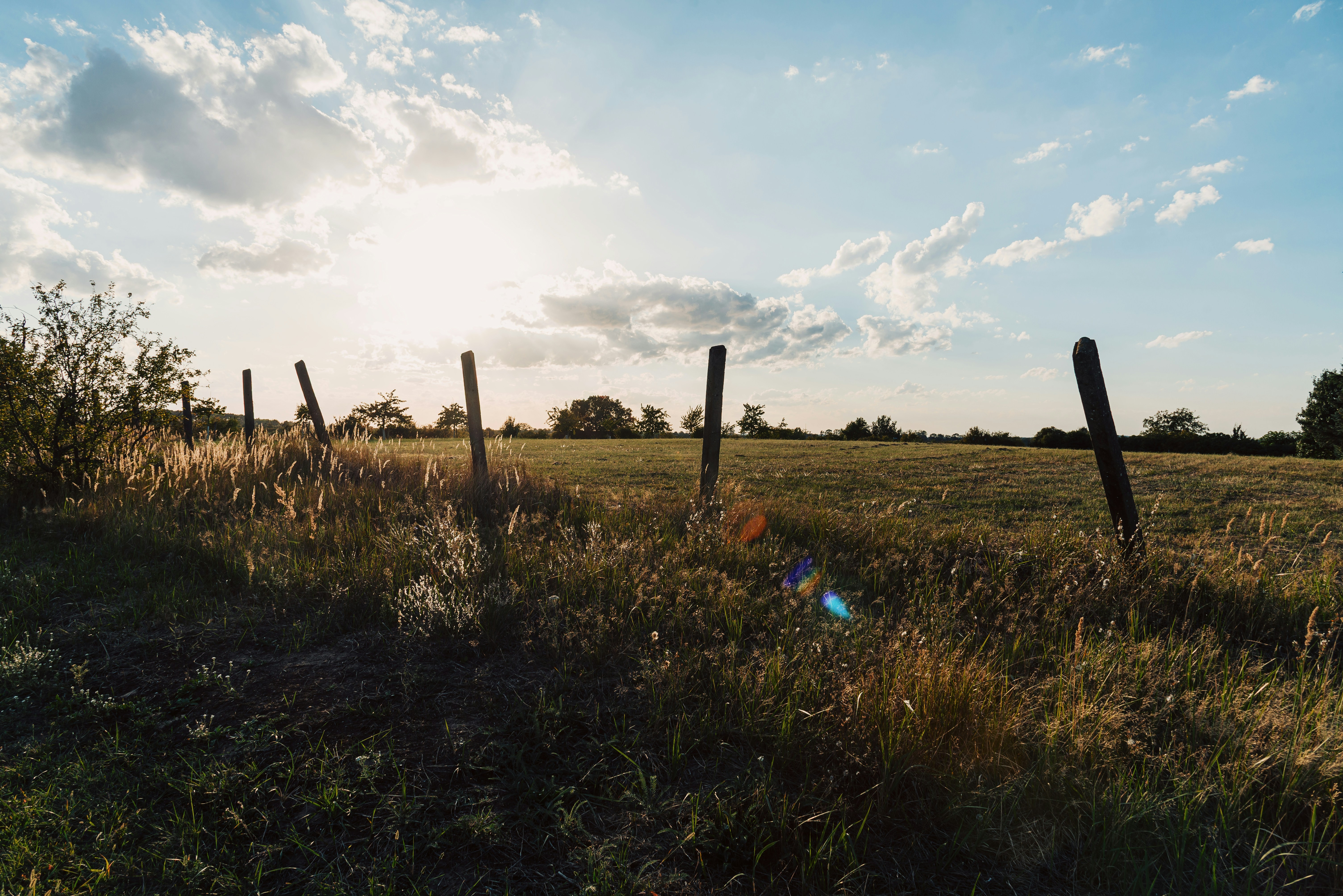 Low Sunlight Across Weathered Fence: A Quiet Field at Dusk