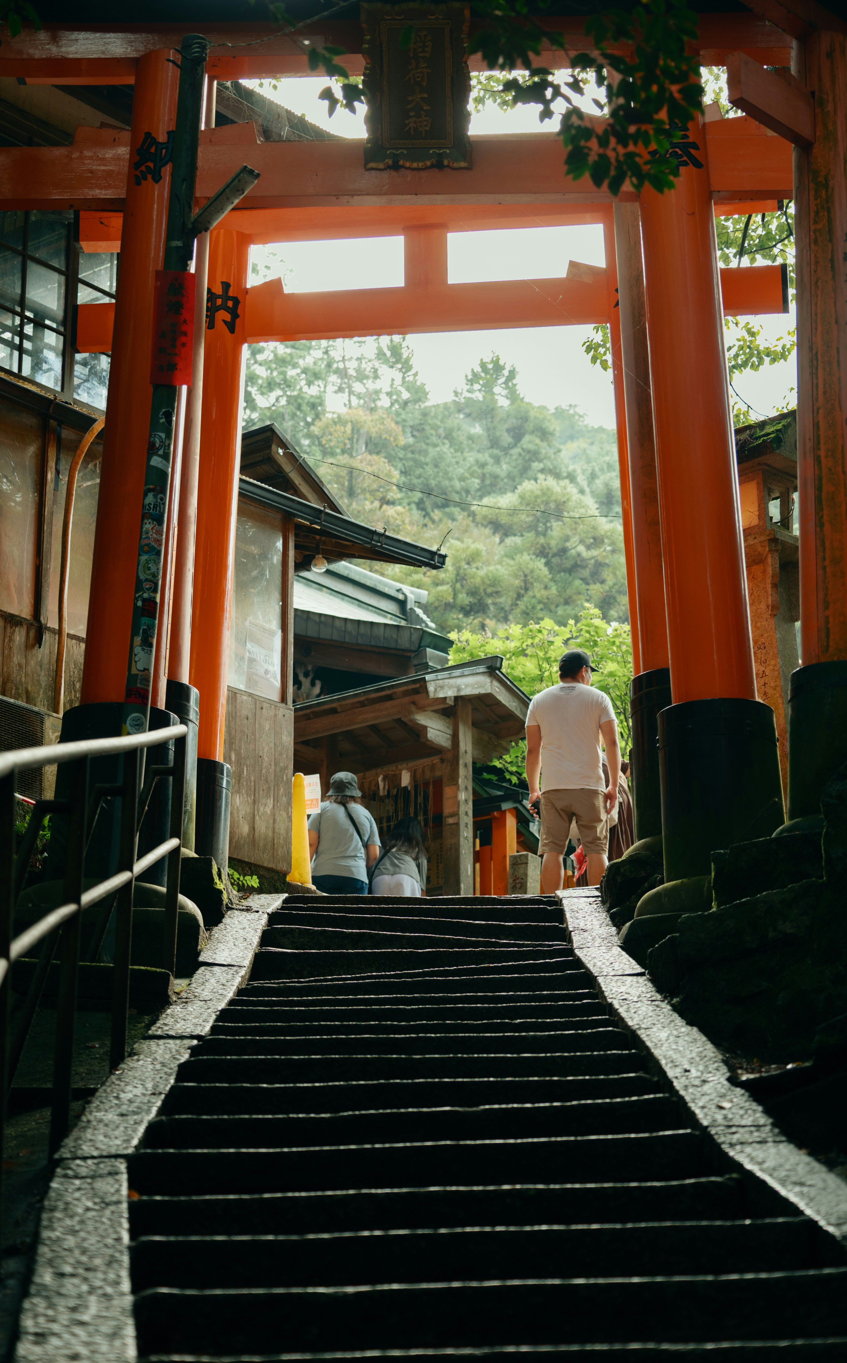 Through the Torii Gate to Quiet Steps