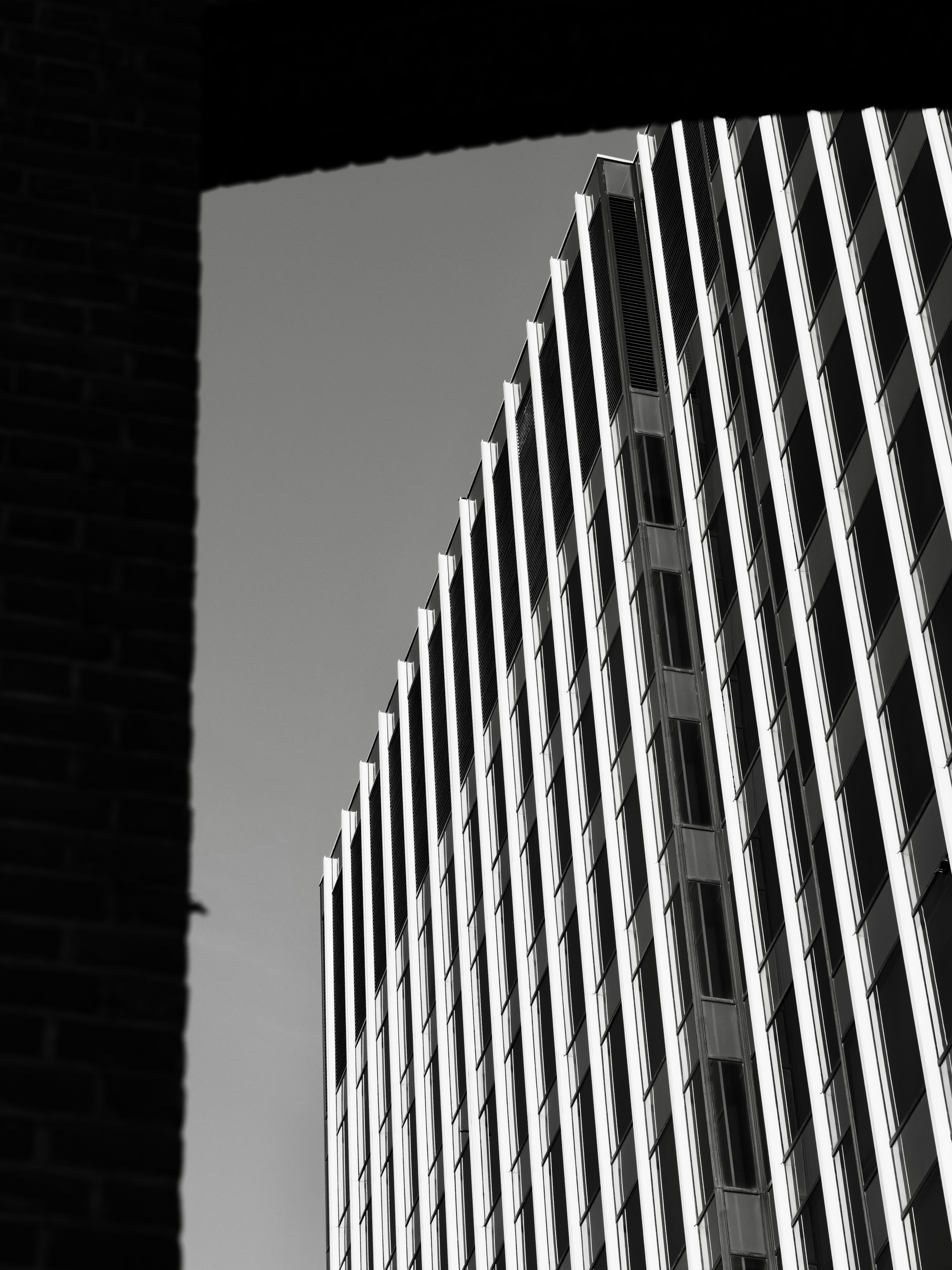 Vertical Gridlines: The Facade Reaches Toward an Open Sky