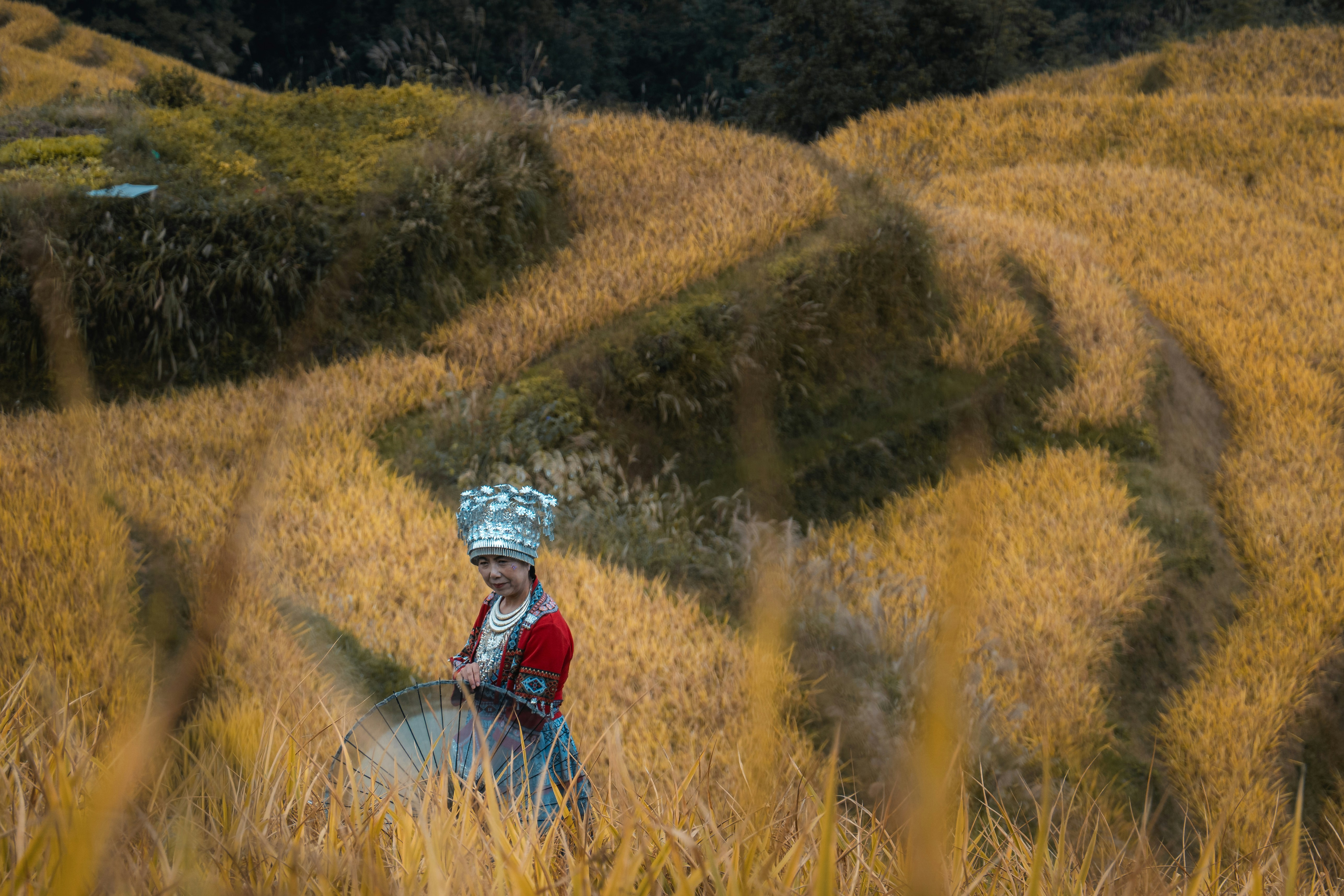 Harvest Muse: The Messenger in Golden Fields
