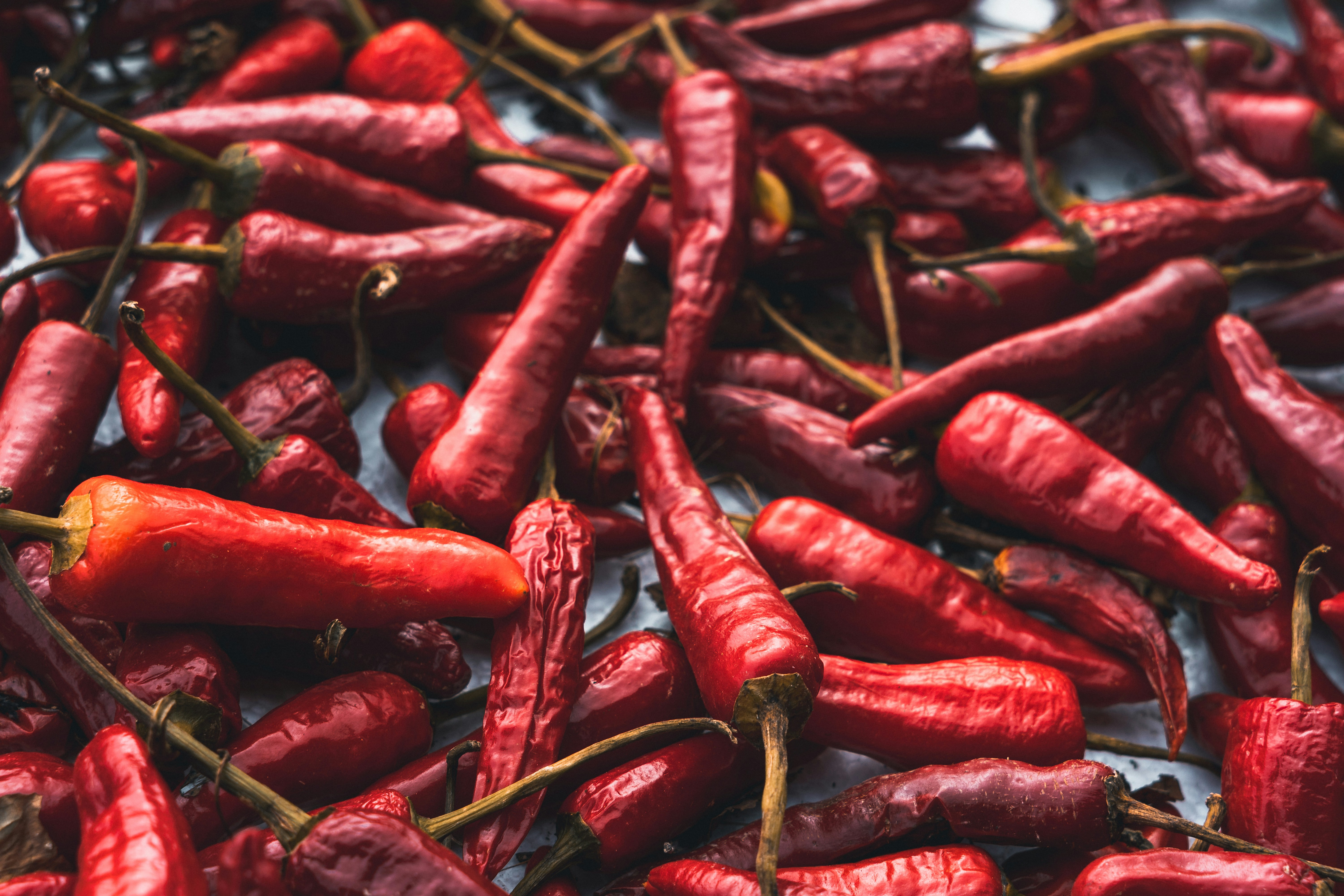 Crimson Harvest: A Tide of Red Chili Peppers