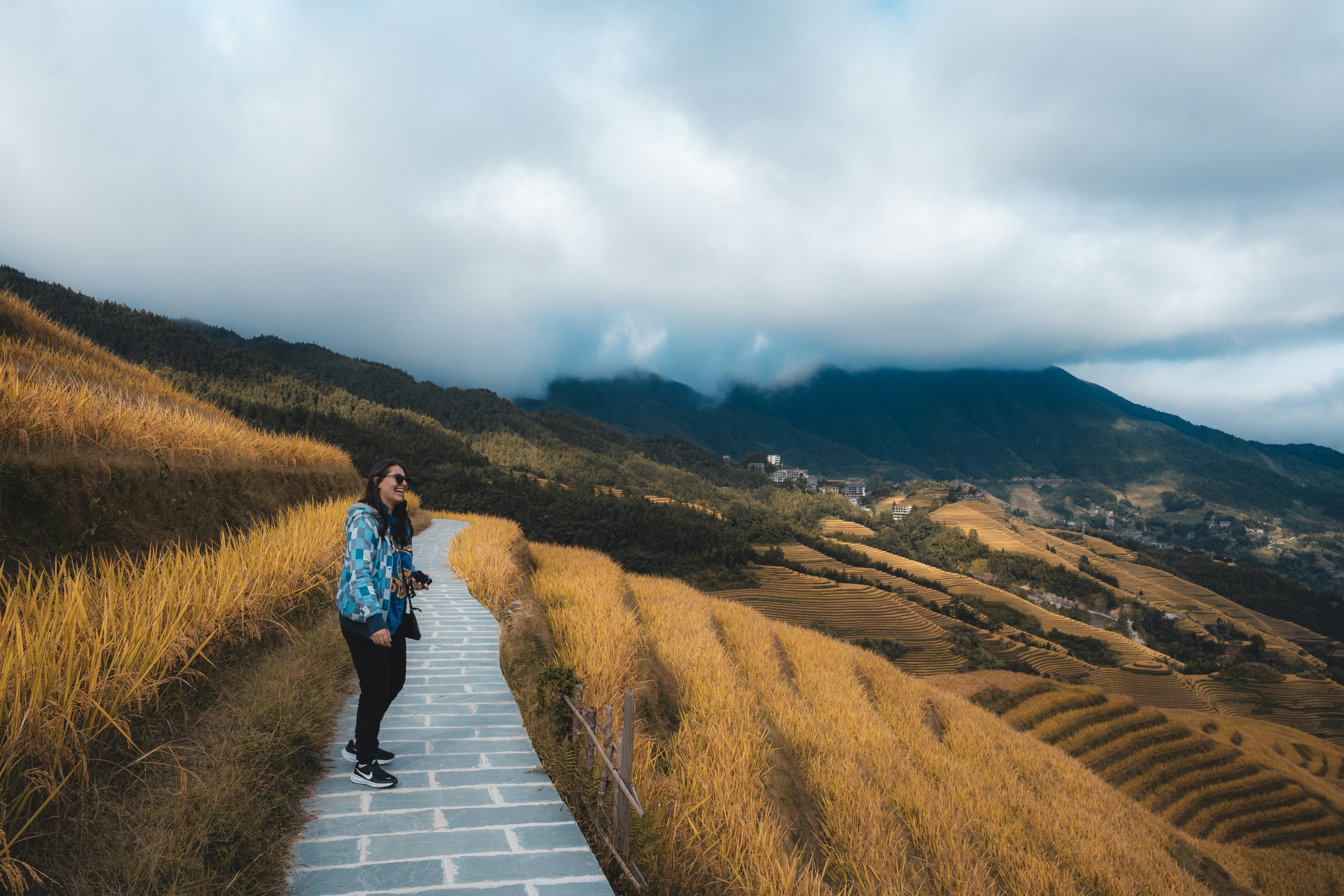 Traveler on the Terrace: A Lantern of Golden Fields