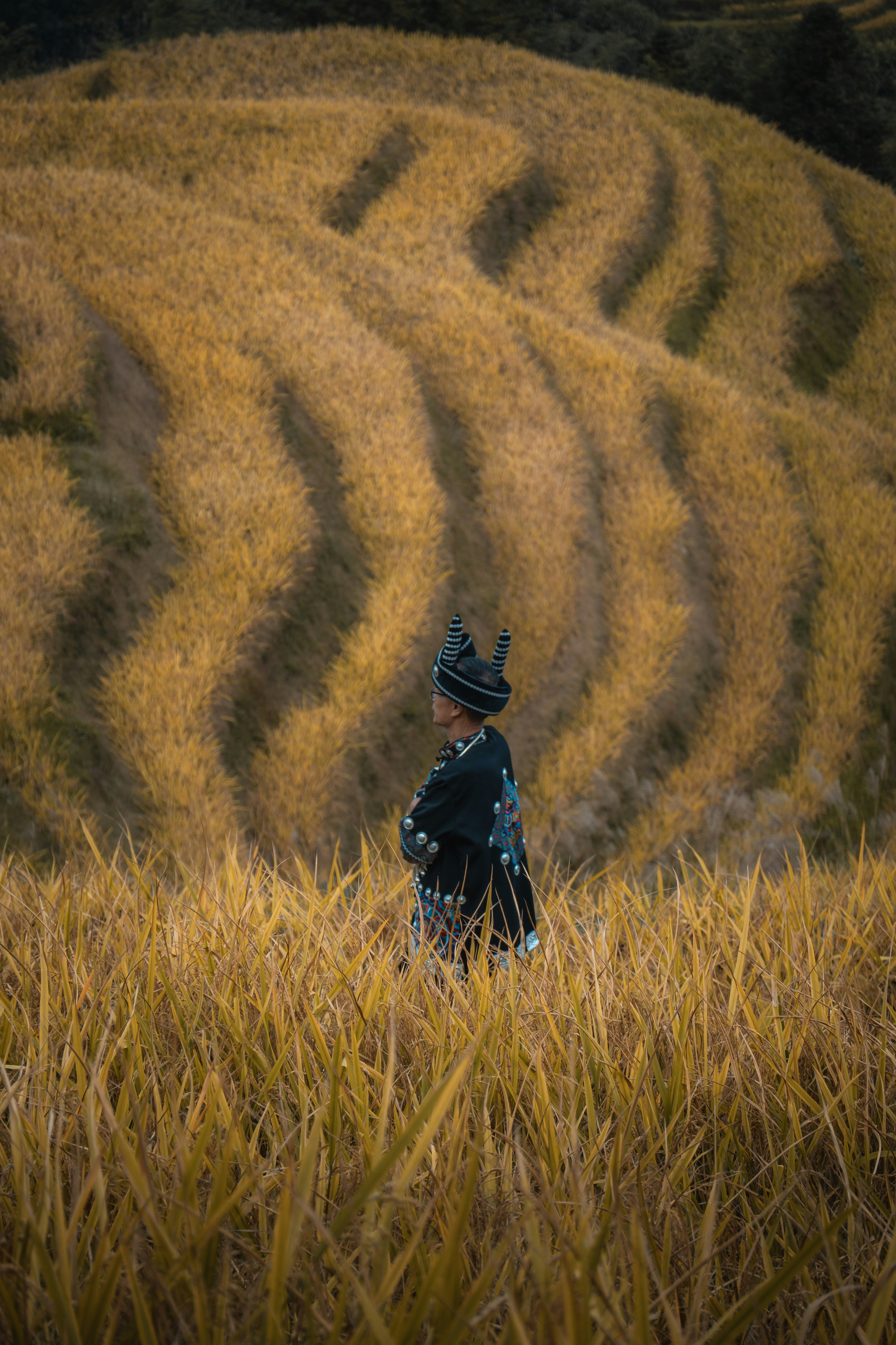 A solitary figure in traditional attire stands among golden terraced crops, with the layered hills receding behind. This photograph captures quiet landscape and cultural dress in a broad, cinematic frame.