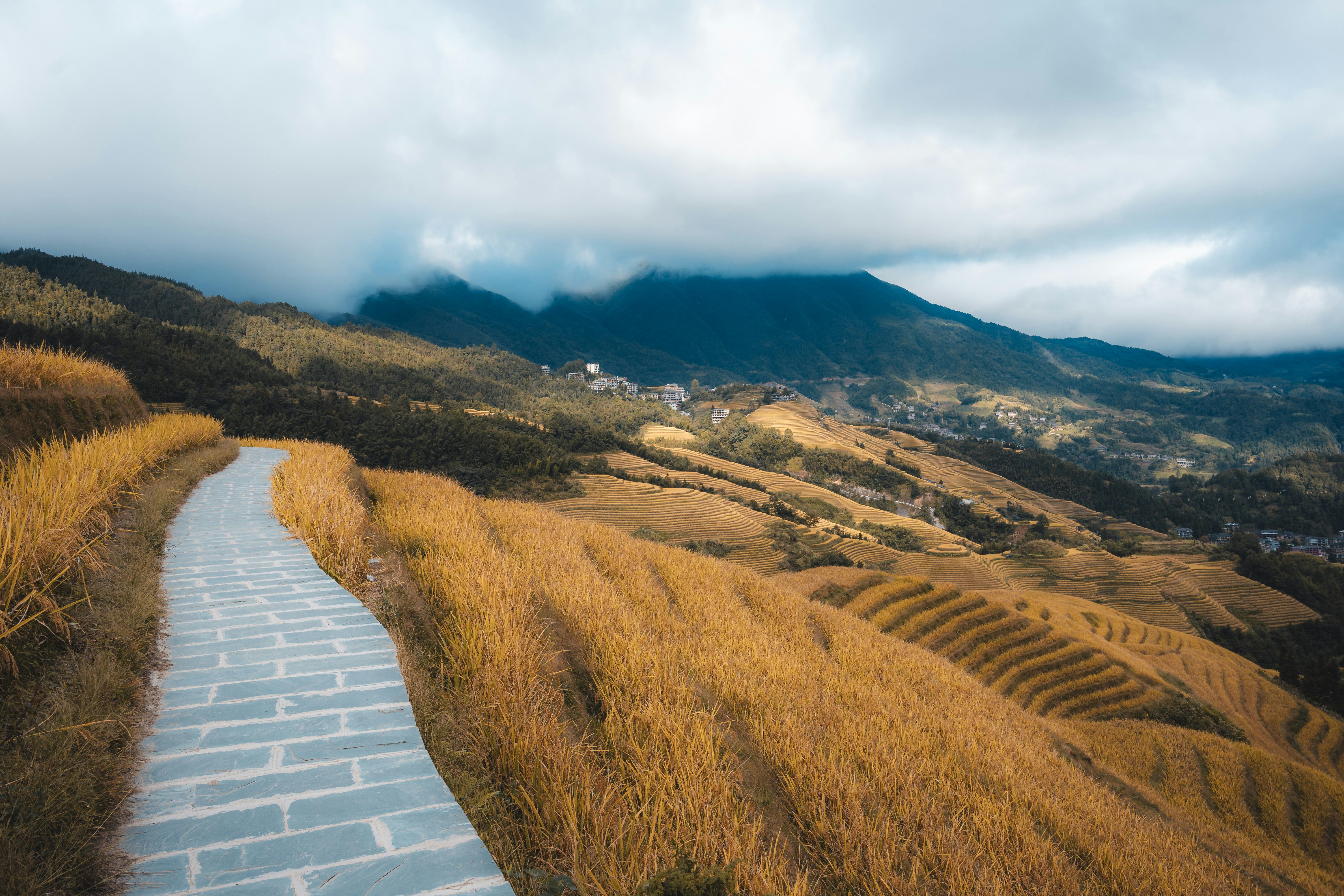 Stone Path Through Golden Hills Under Moody Skies