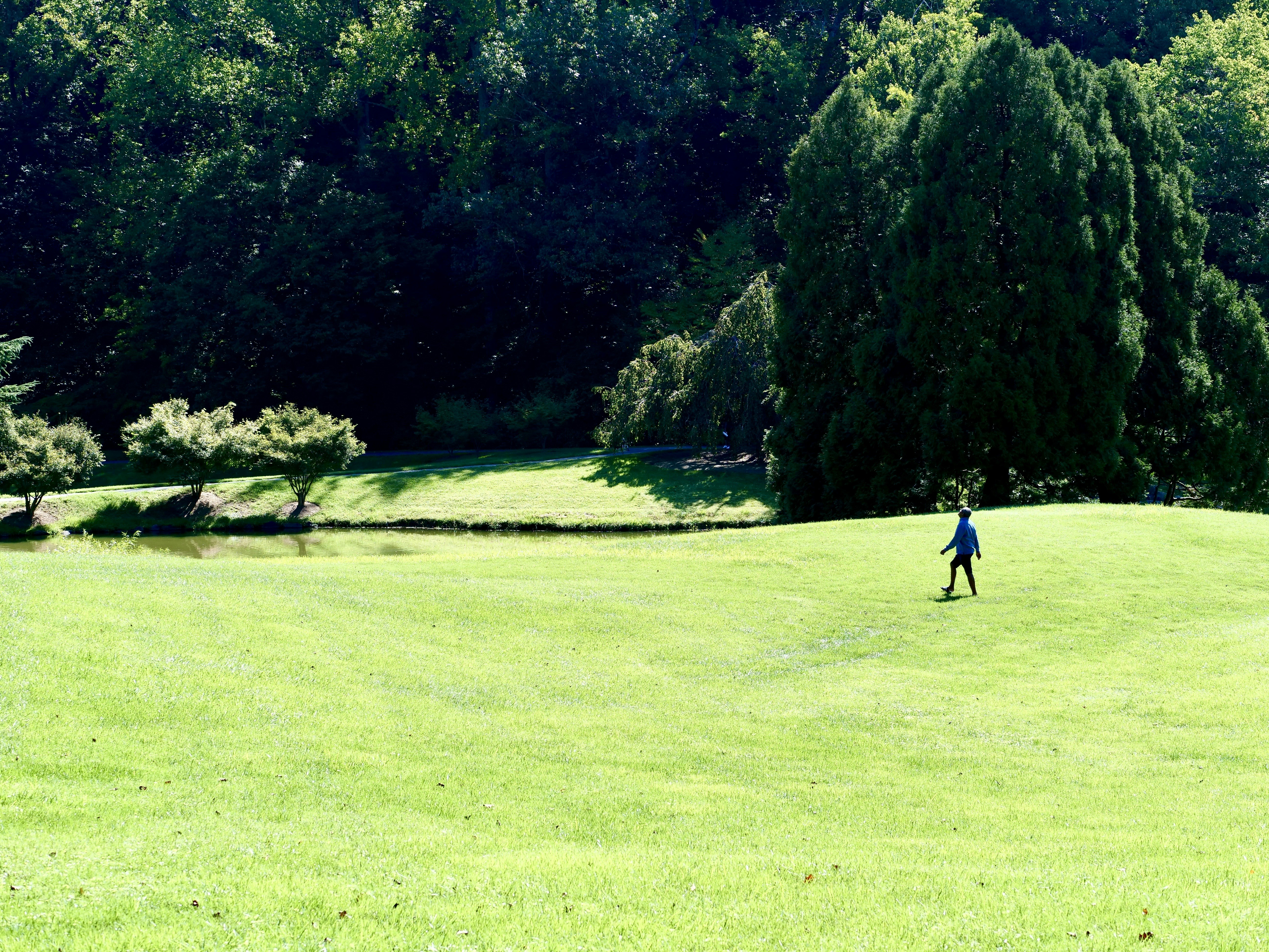 Lone Walker on a Sunlit Crest