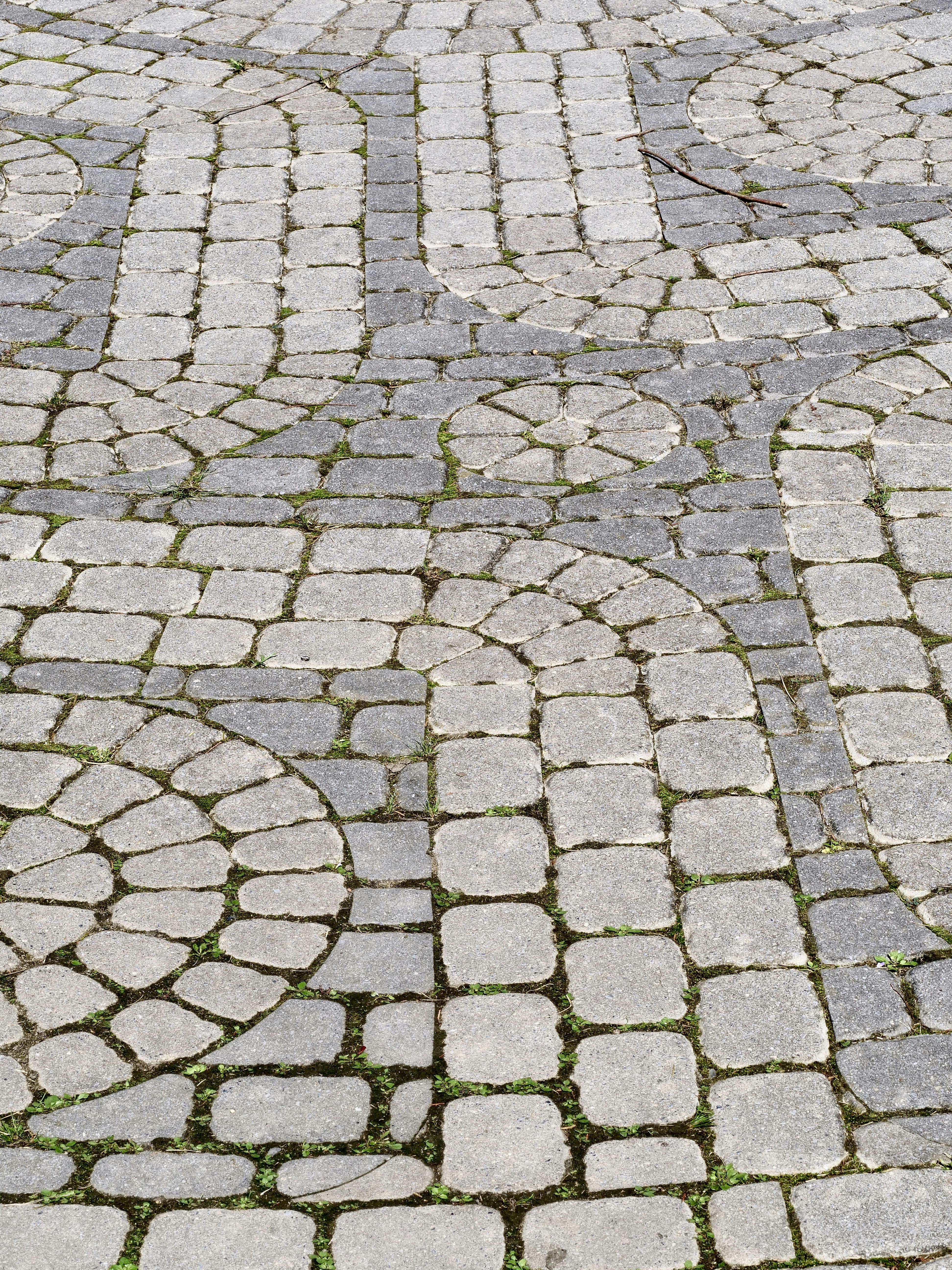 Geometric Cobbled Tapestry: A Street of Circles and Squares